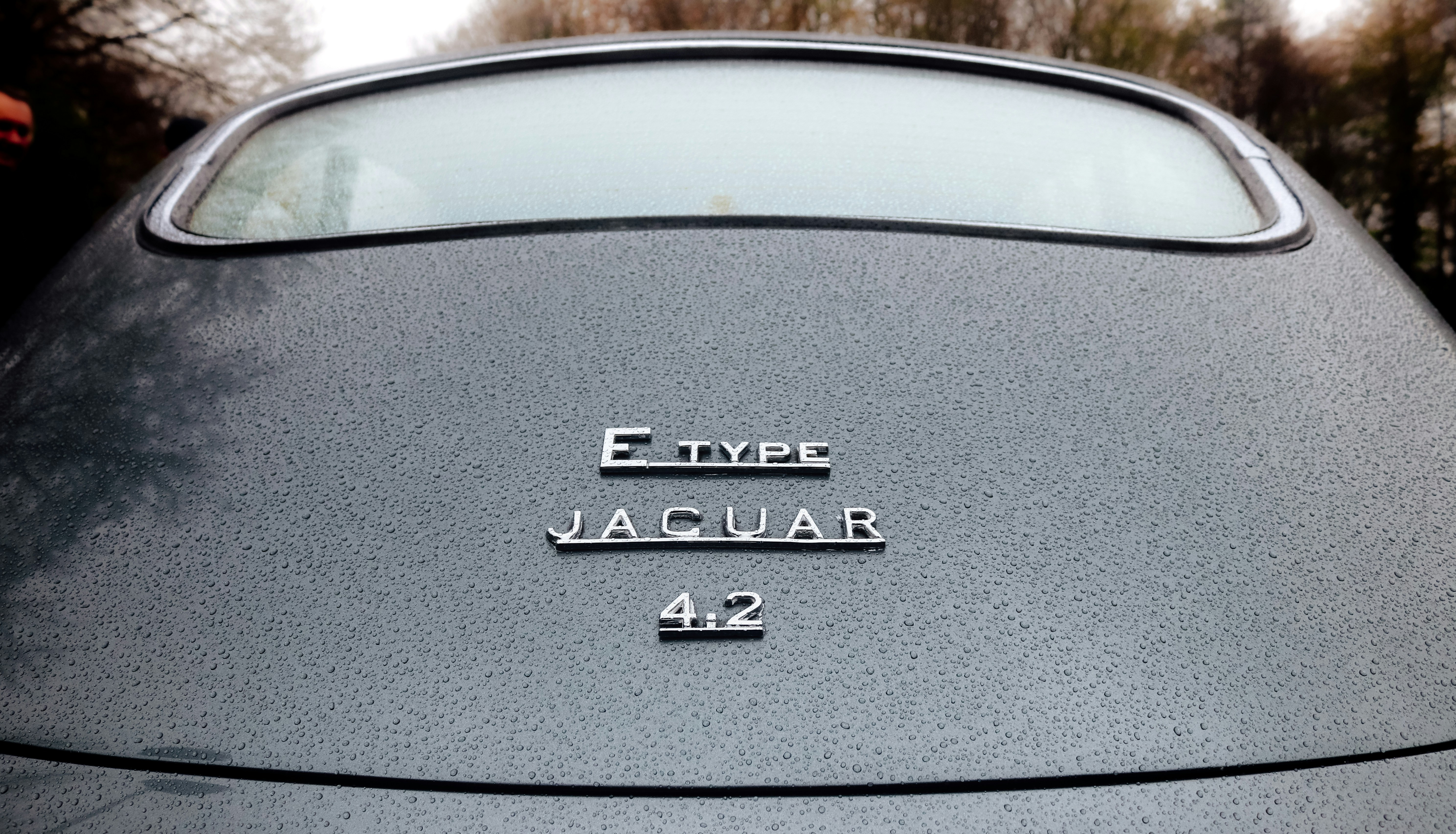 Rain-kissed Jaguar E-Type 4.2: A Quiet Badge Portrait