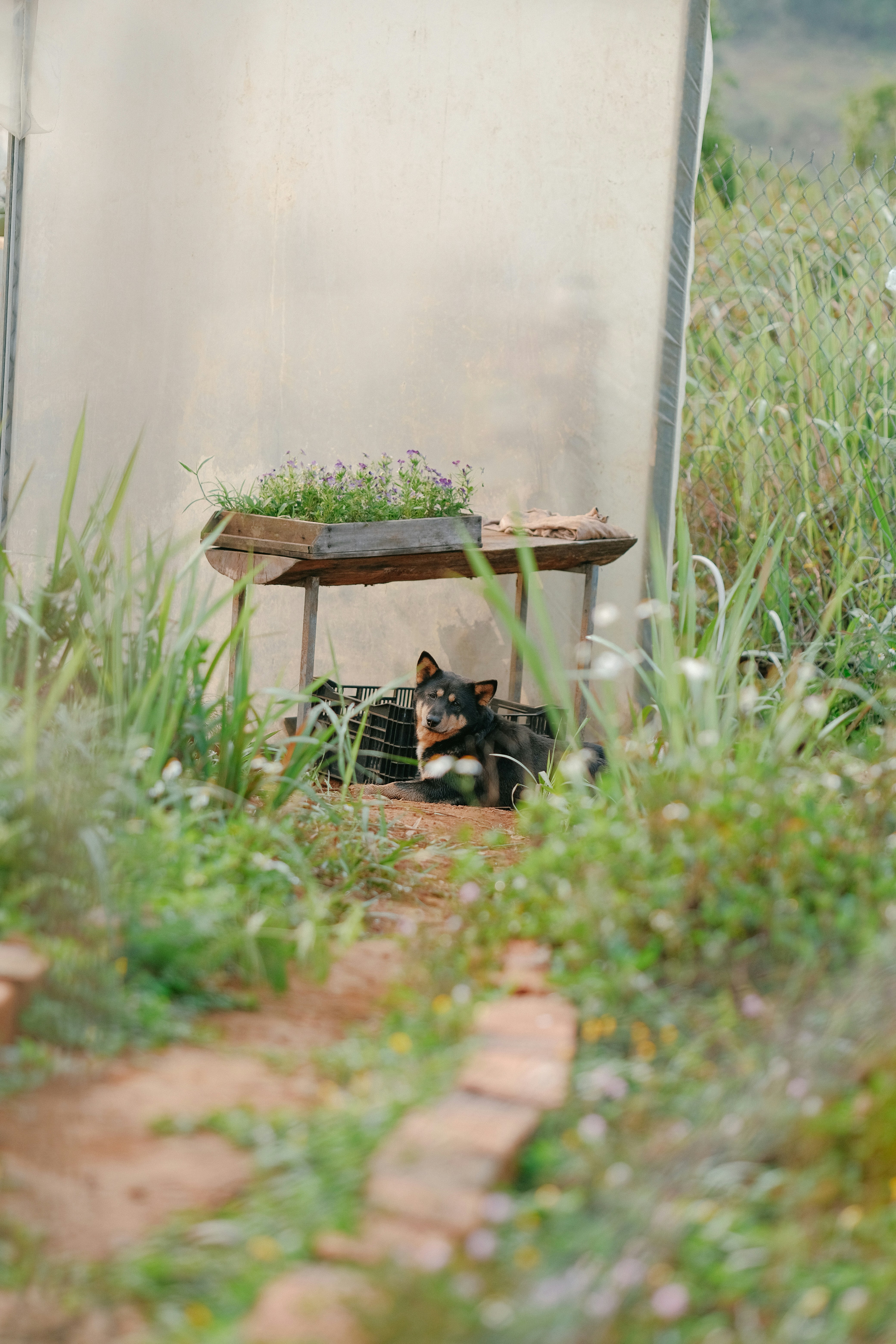 Photo by Pew Nguyen with Fujifilm X-T30