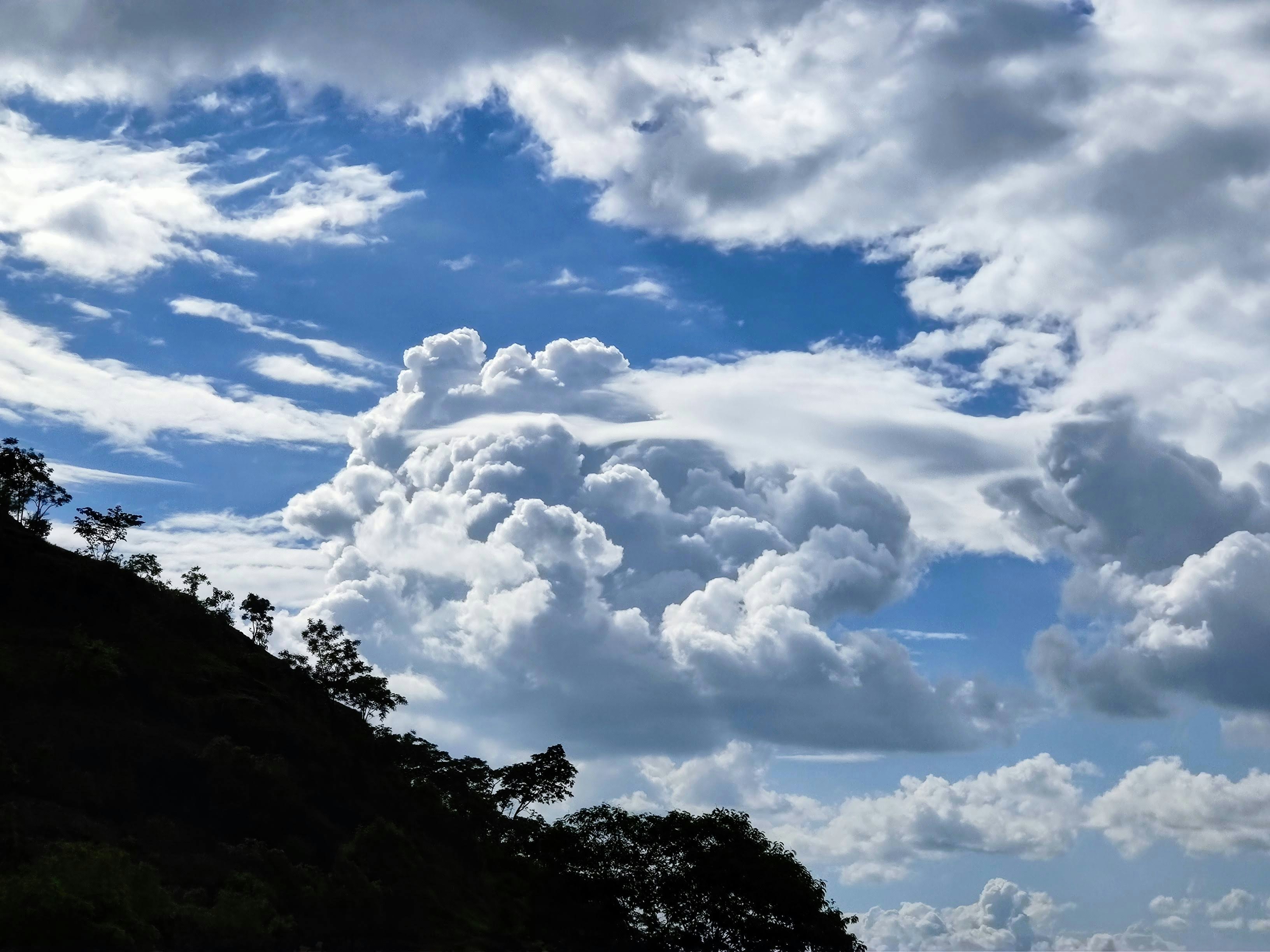 Photo by Ayush Mandloi with OnePlus 7 Pro