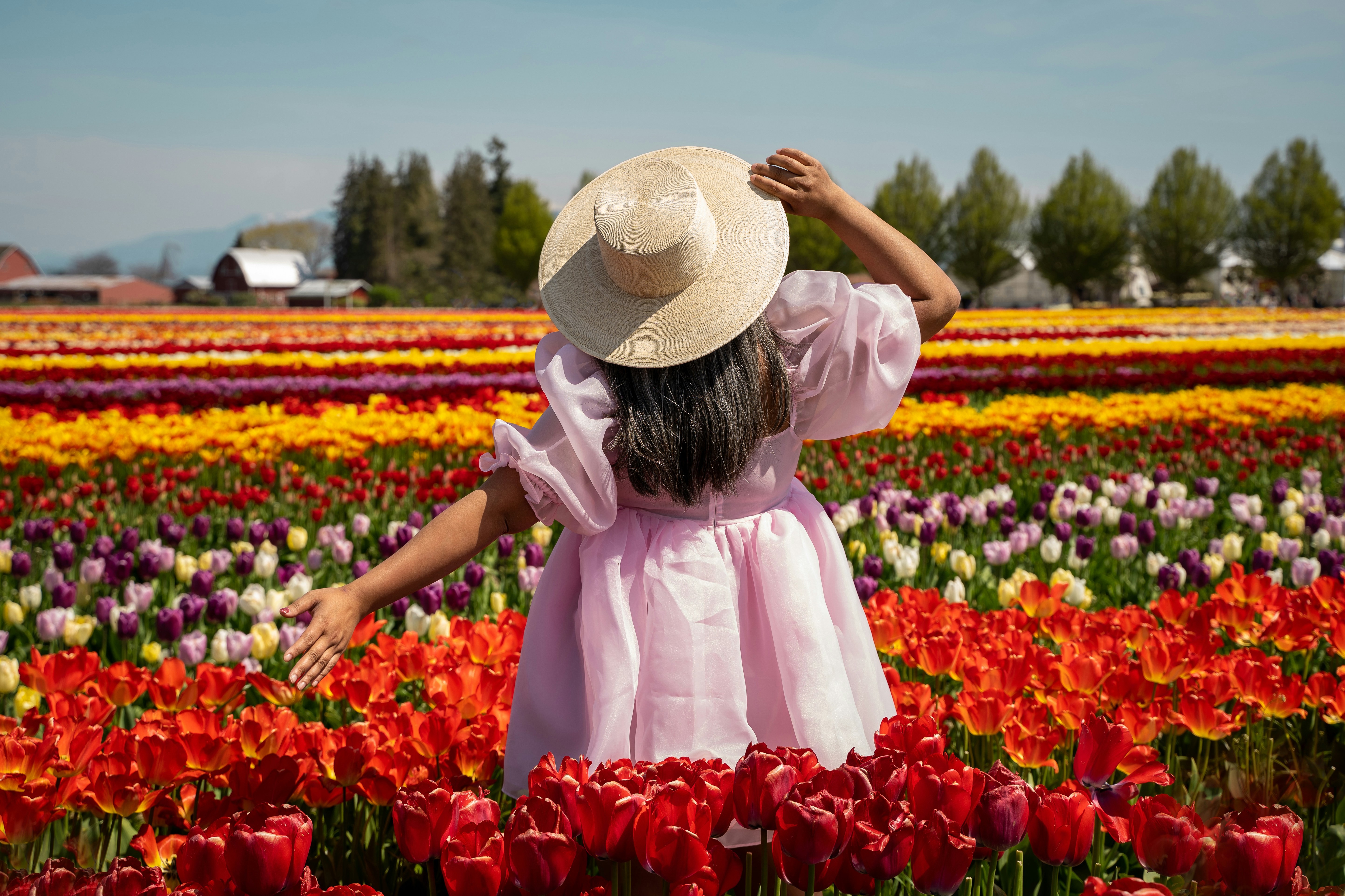 Child in a pink dress and wide-brimmed hat stands amidst vibrant rows of tulips under a clear sky.