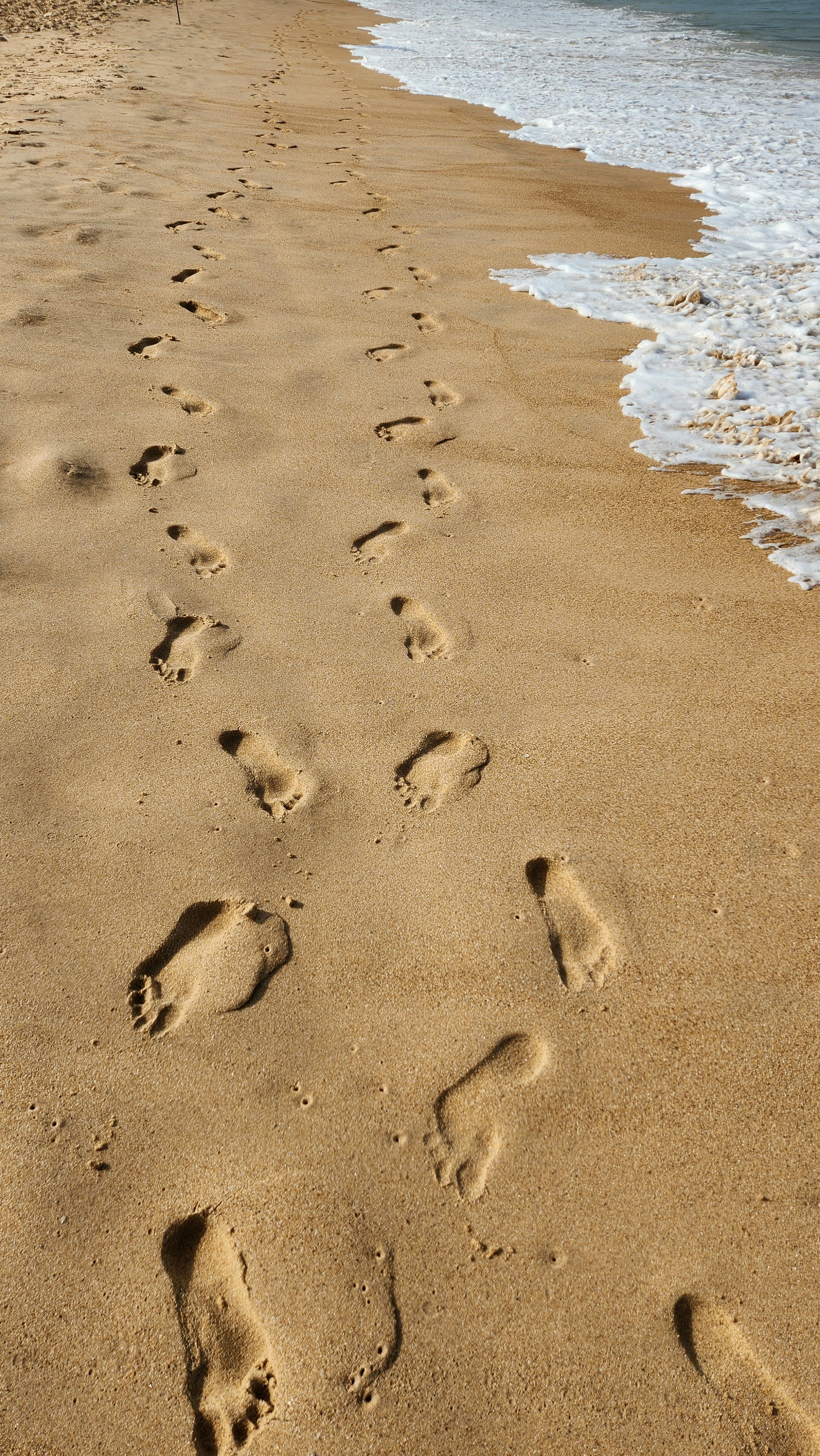 Footsteps Pictures | Download Free Images on Unsplash