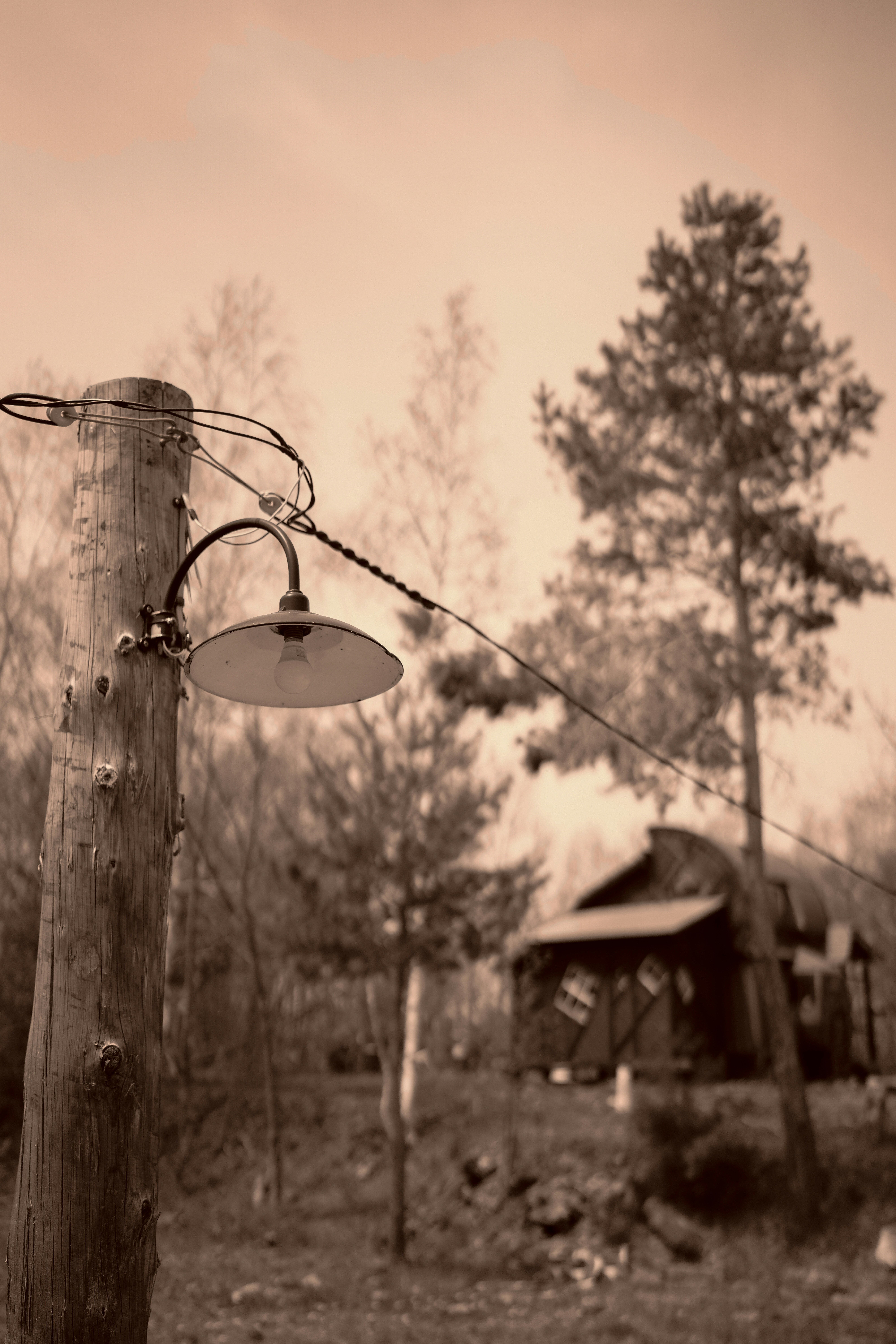 Photo by Watanabe Hiroyuki with Sony Alpha 7R V