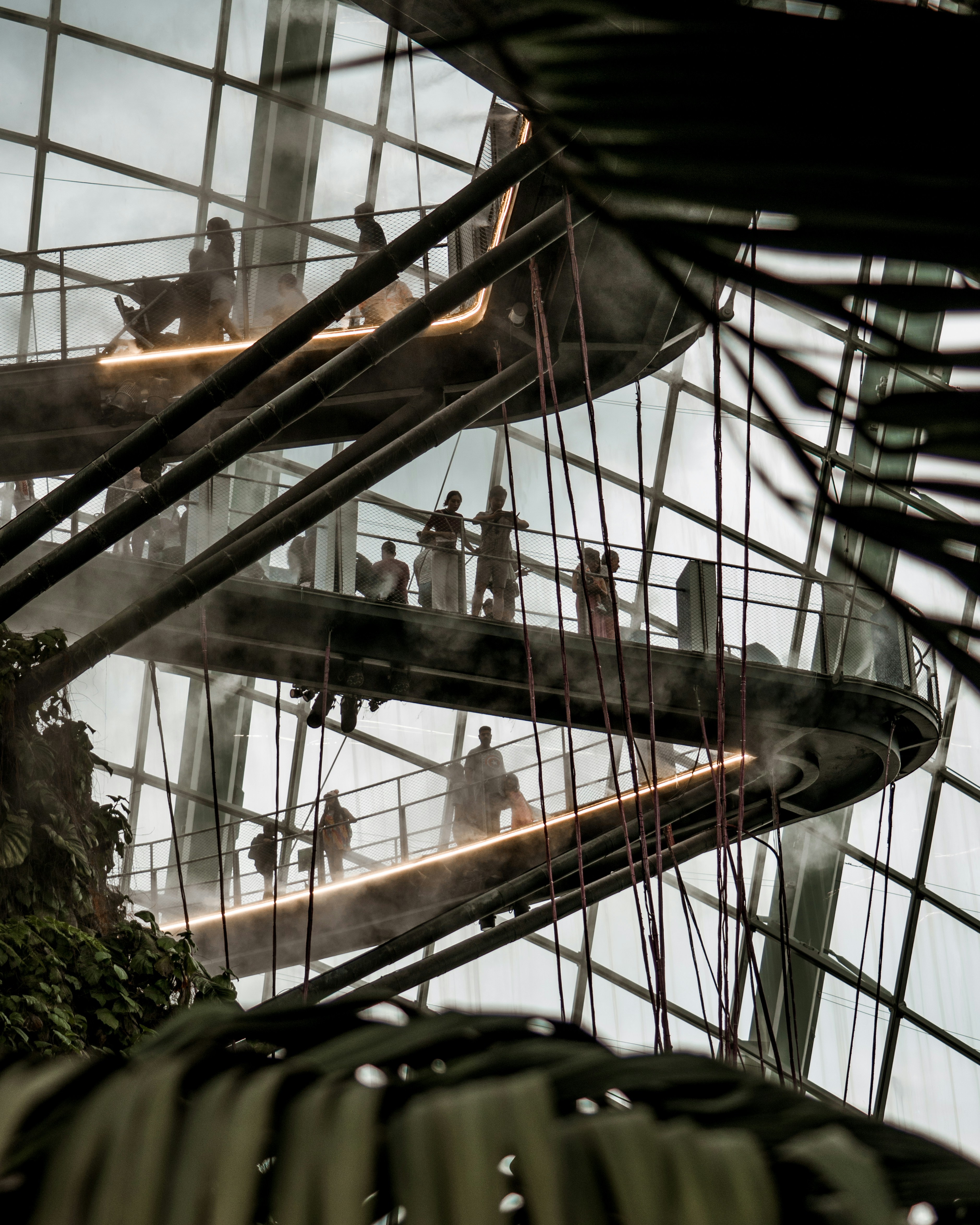 Spiral Walkway Above a Misty Atrium