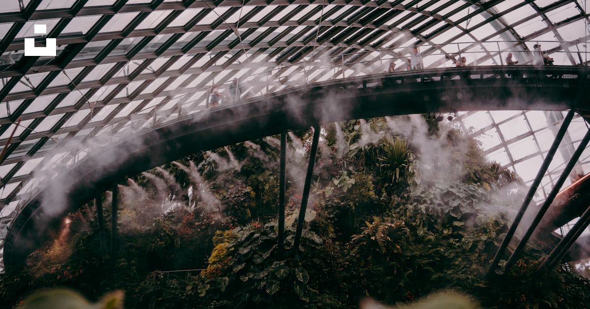 온실 내부에서 증기가 상승합니다 사진 Unsplash의 무료 가든스 바이 더 베이 Gardens By The Bay 이미지