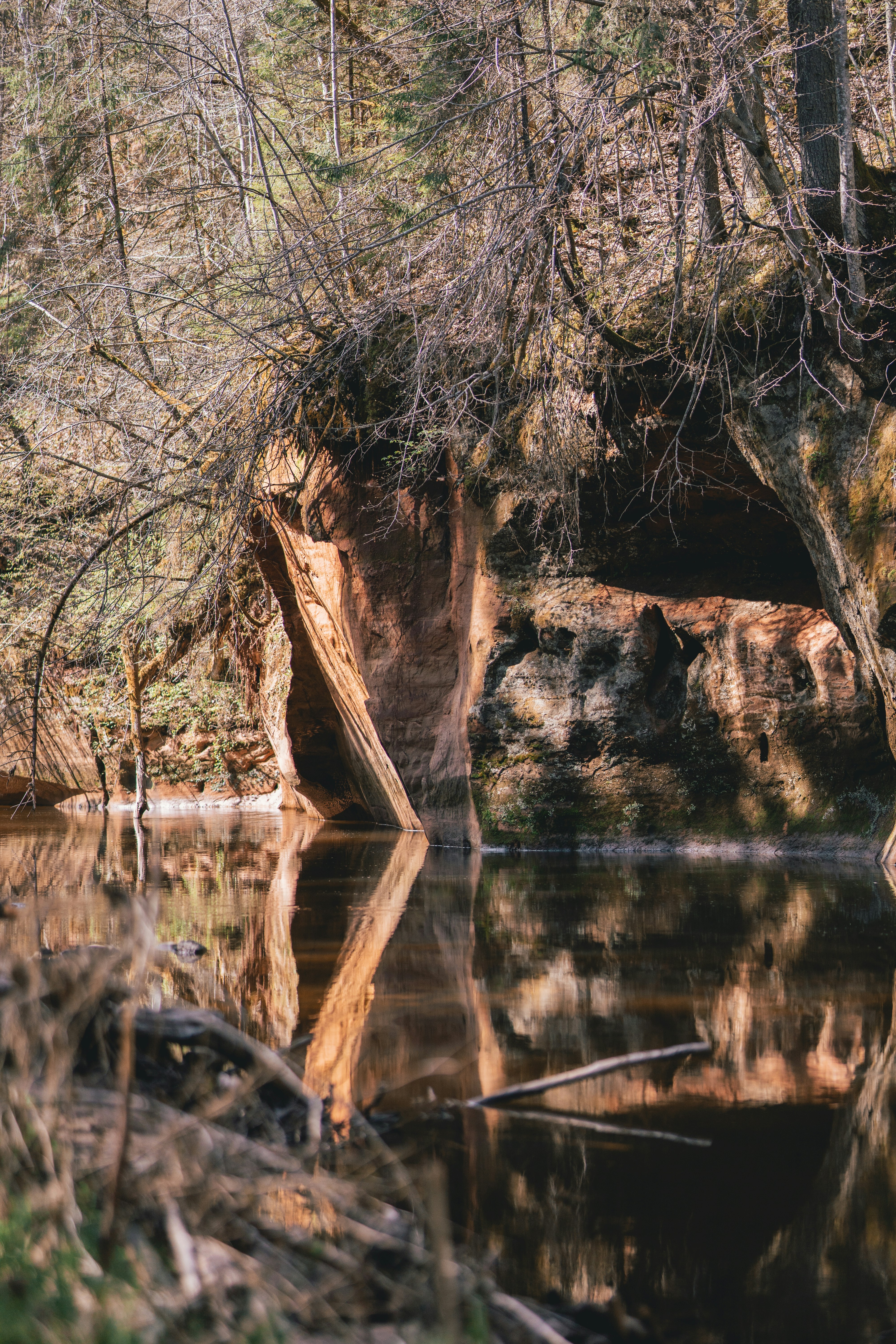 Echoes of the Waterfall Cave: Reflections in a Quiet Forest