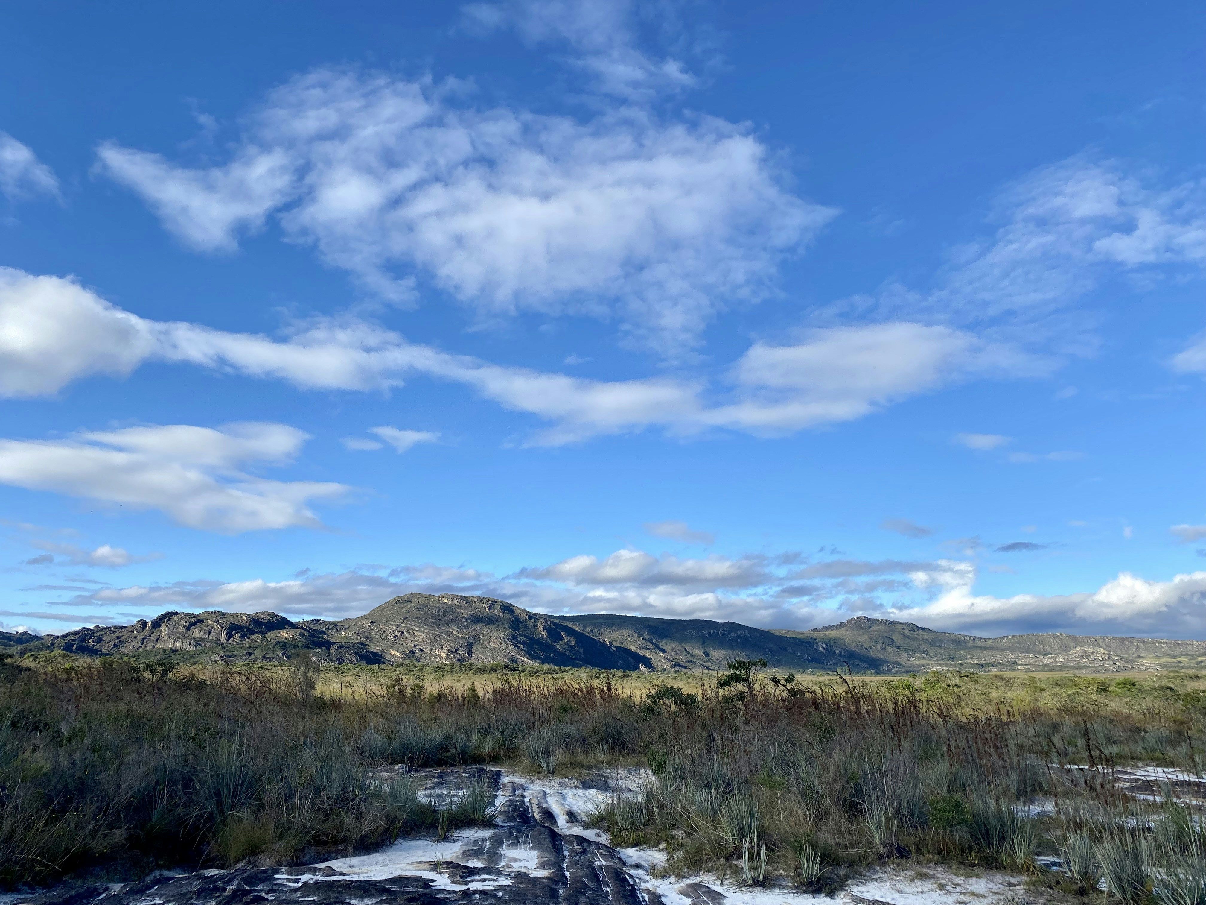Una vista de un campo con montañas al fondo foto – Imagen de Milho ...