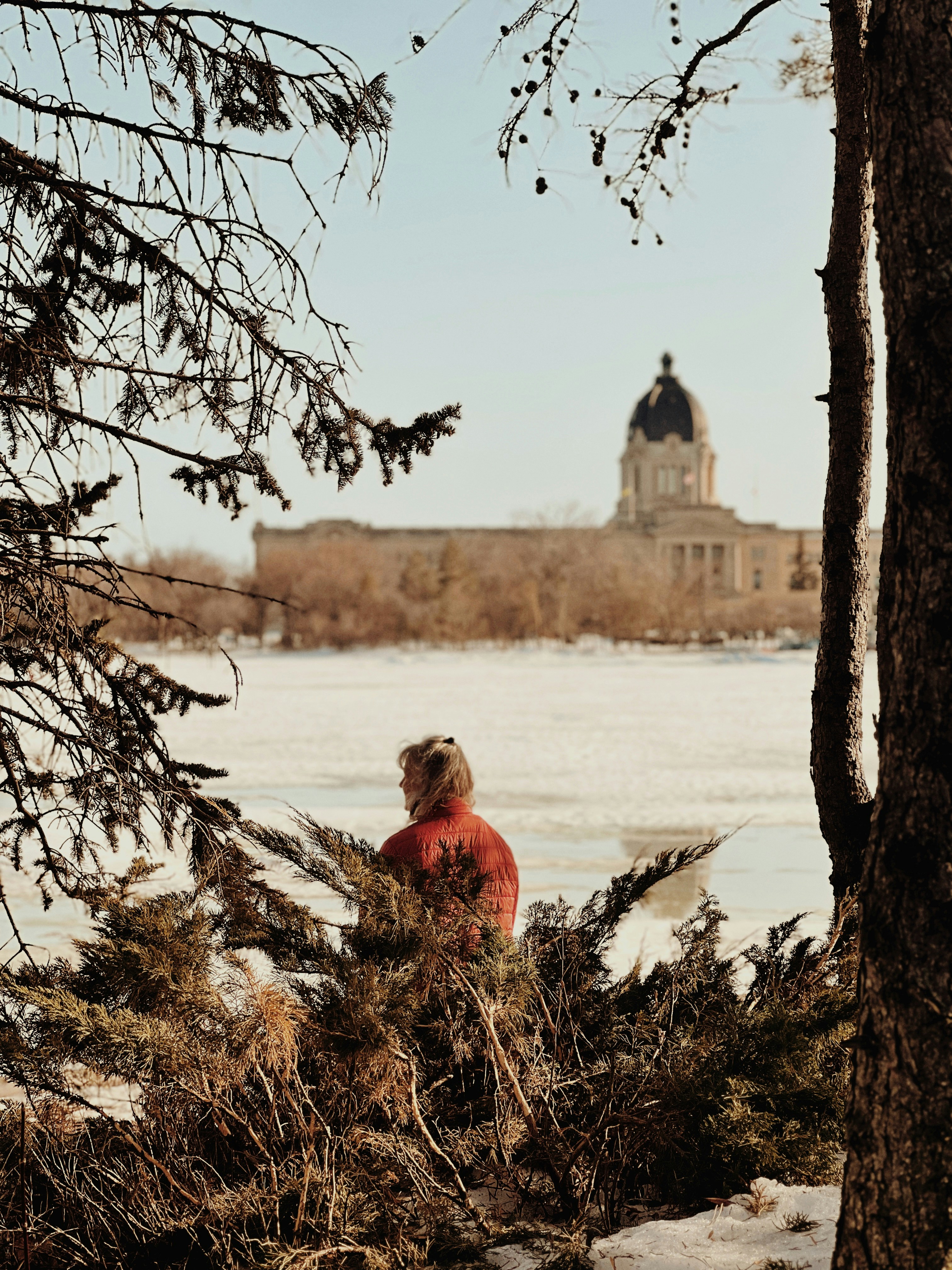 Crimson Figure by a Frozen Shore, Framed by Winter Branches and a Distant Domed Capitol