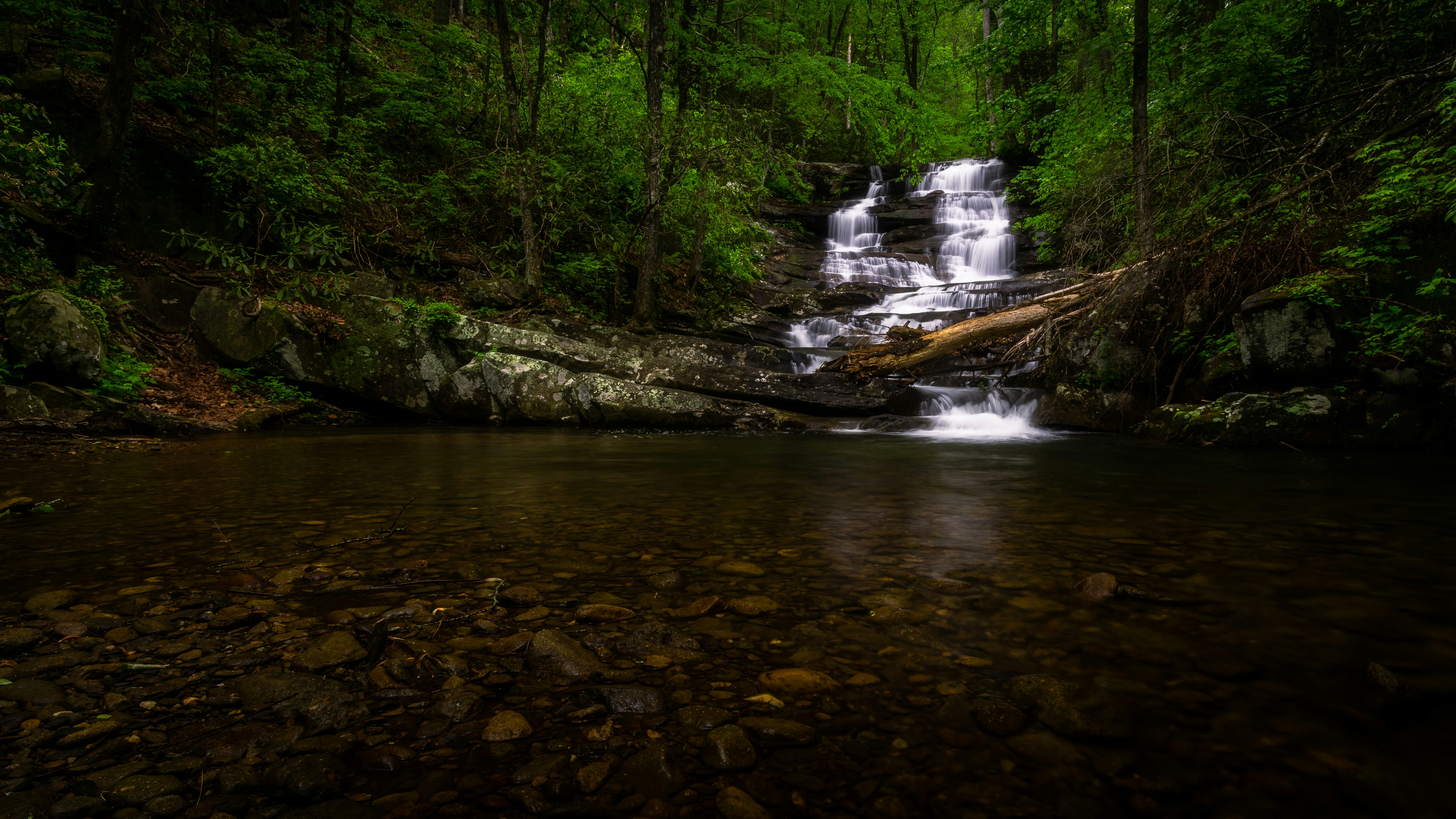 Small waterfall cascading through lush green forest into a tranquil pool.