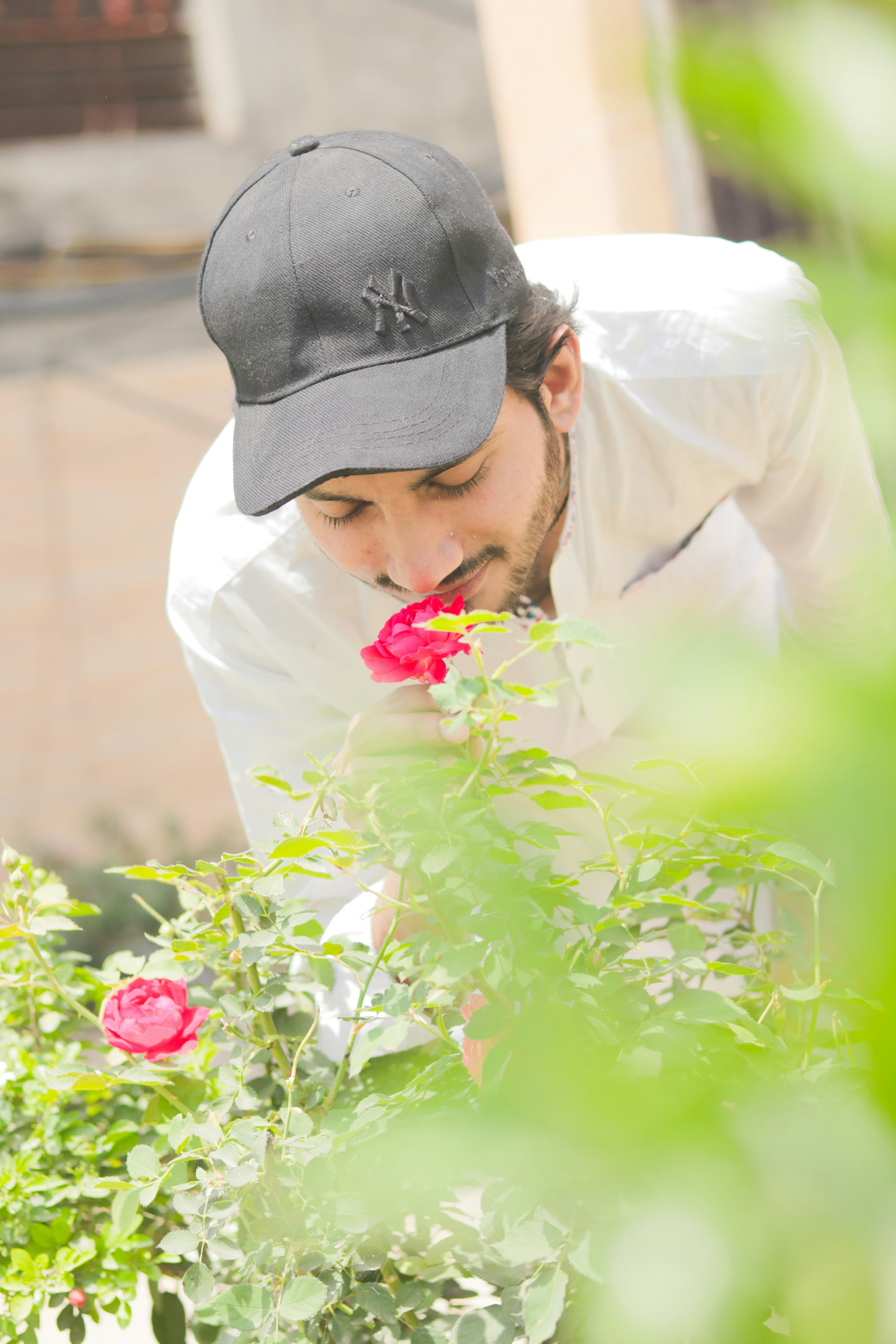 A Quiet Moment Among Roses: The Gardener's Gaze