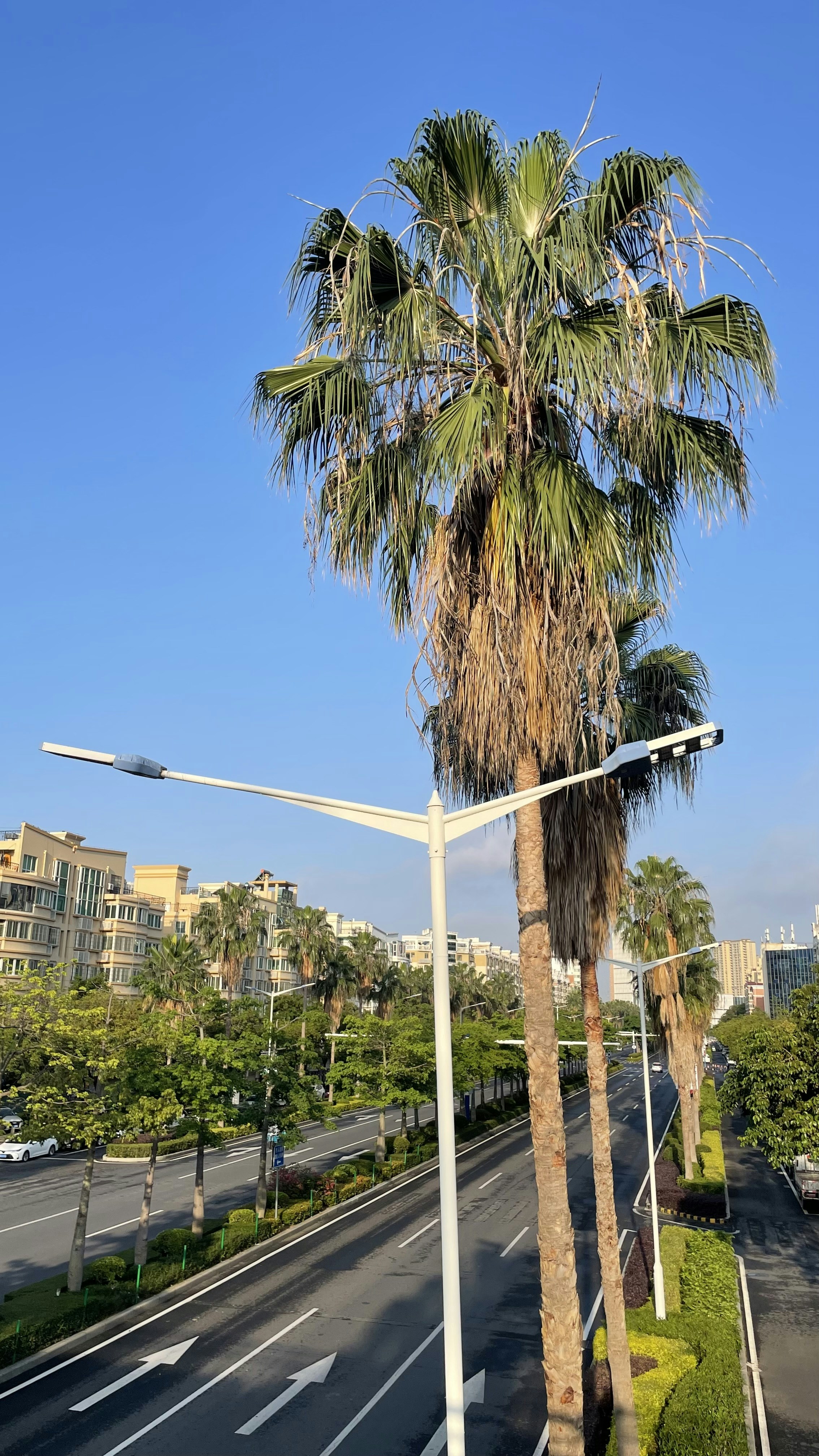 Photo by enzo z with Apple iPhone 12