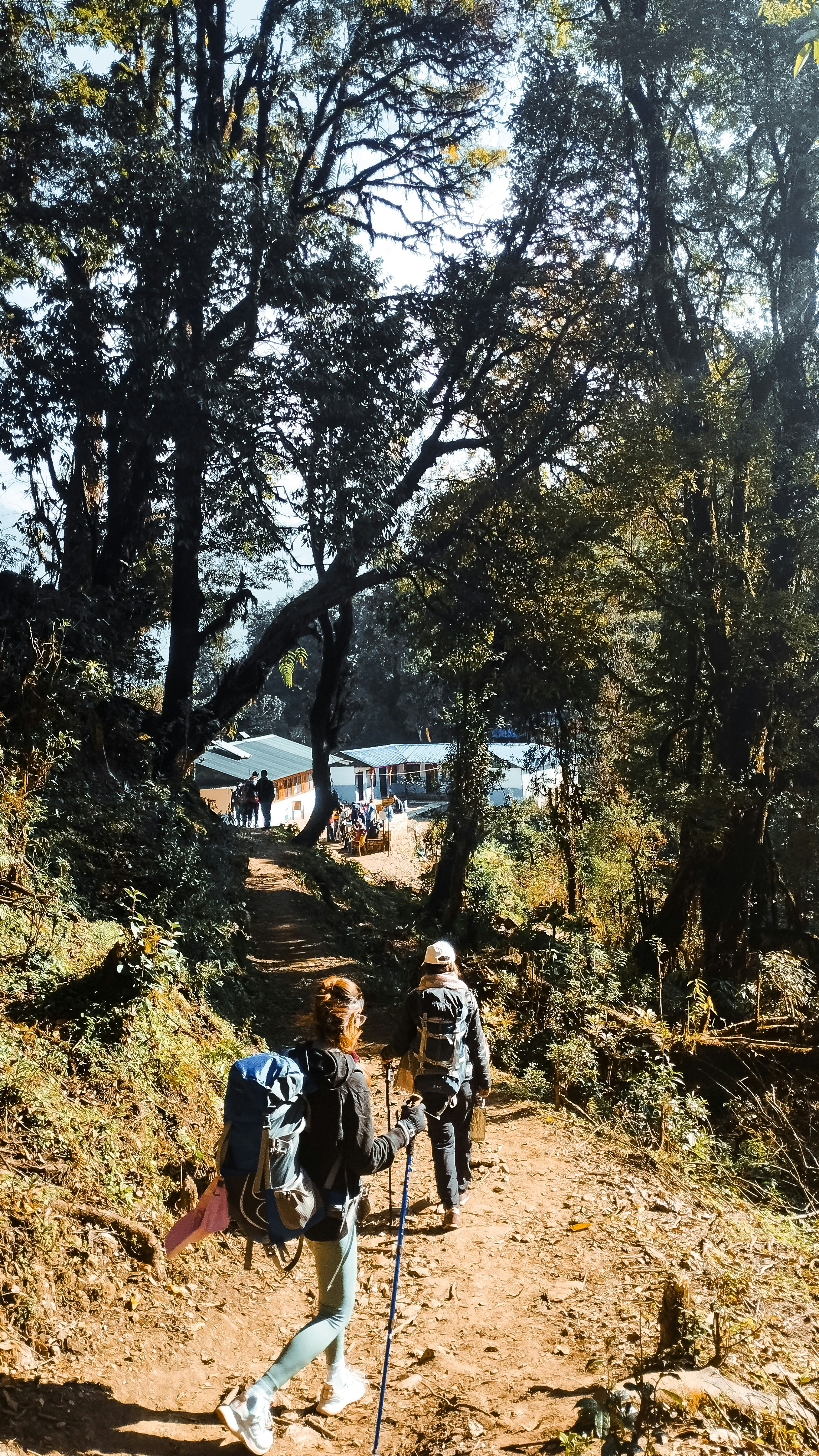 a couple of people walking down a dirt road