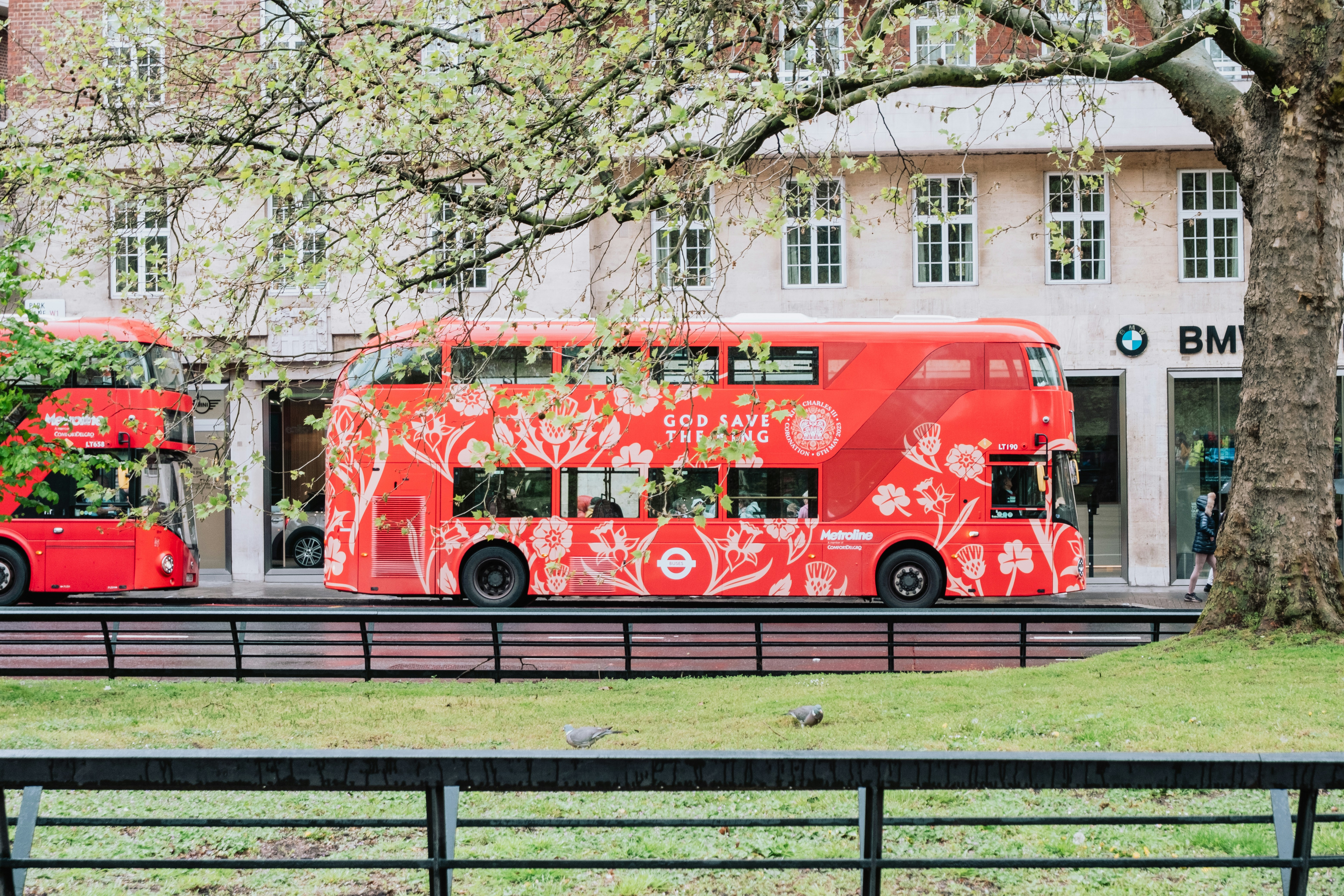Two red double decker buses parked in front of a building photo – Free ...