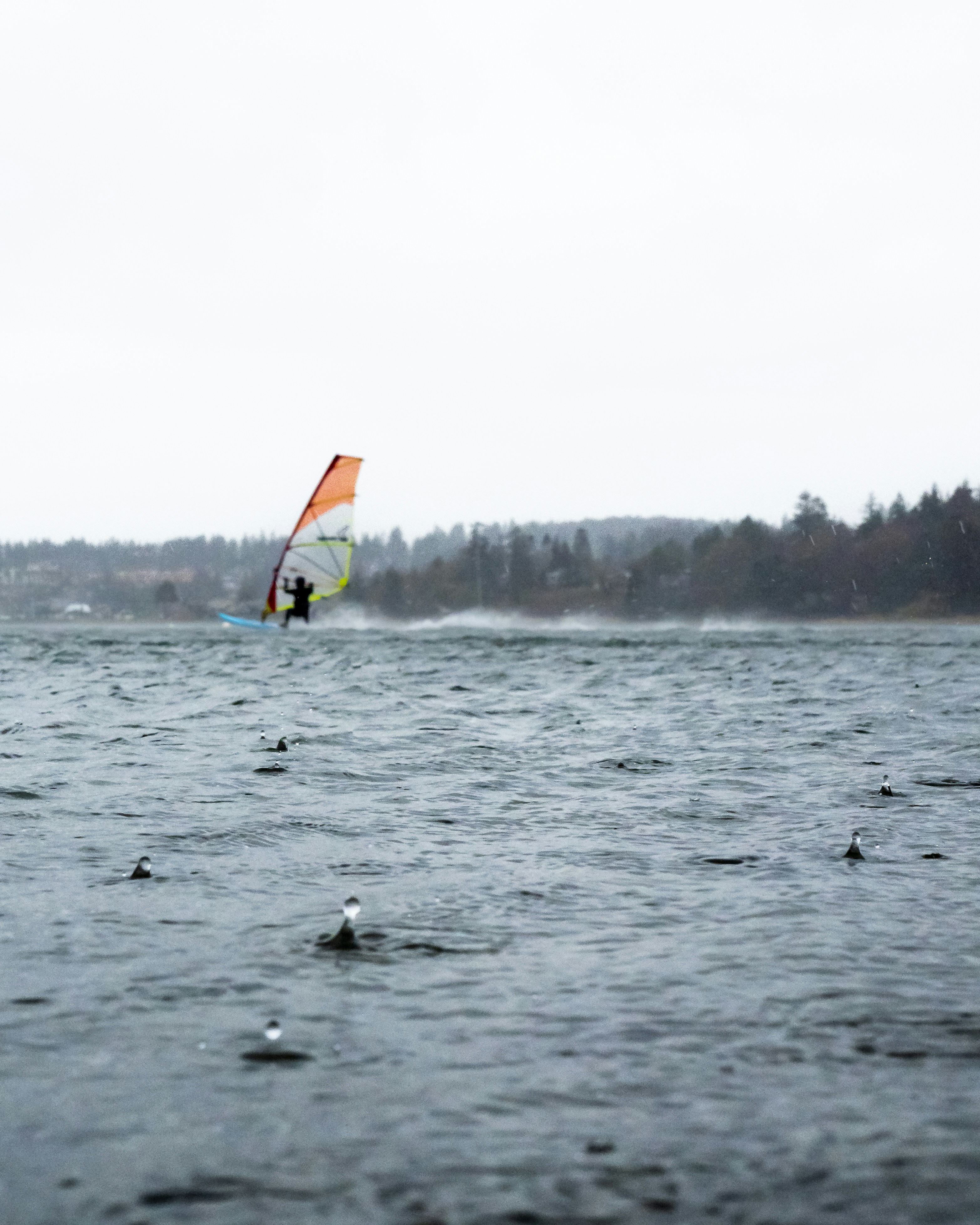 Sailing Silhouette: Wind, Water, and a Distant Shore