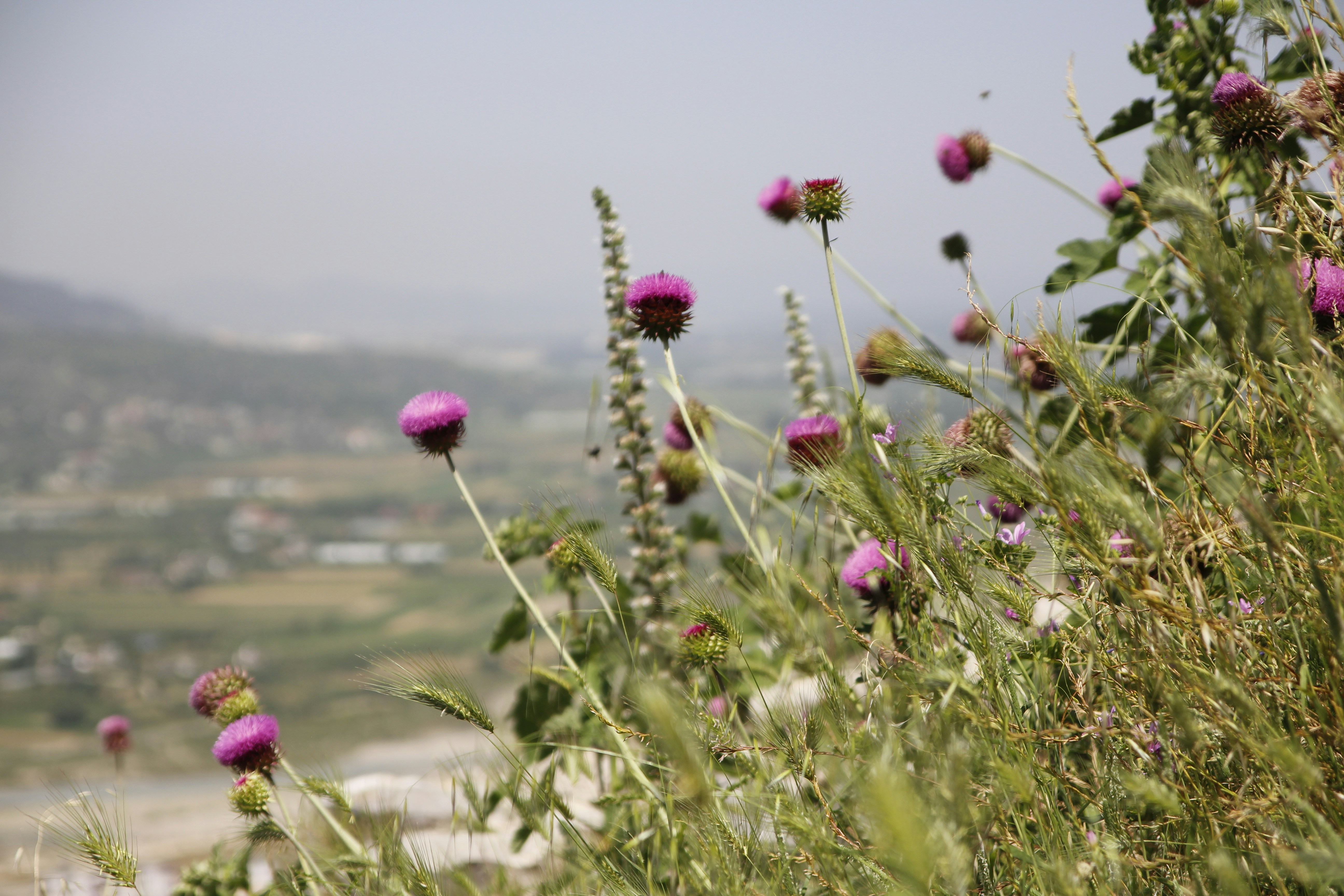 Photo by Christel Røshol with Canon EOS 700D