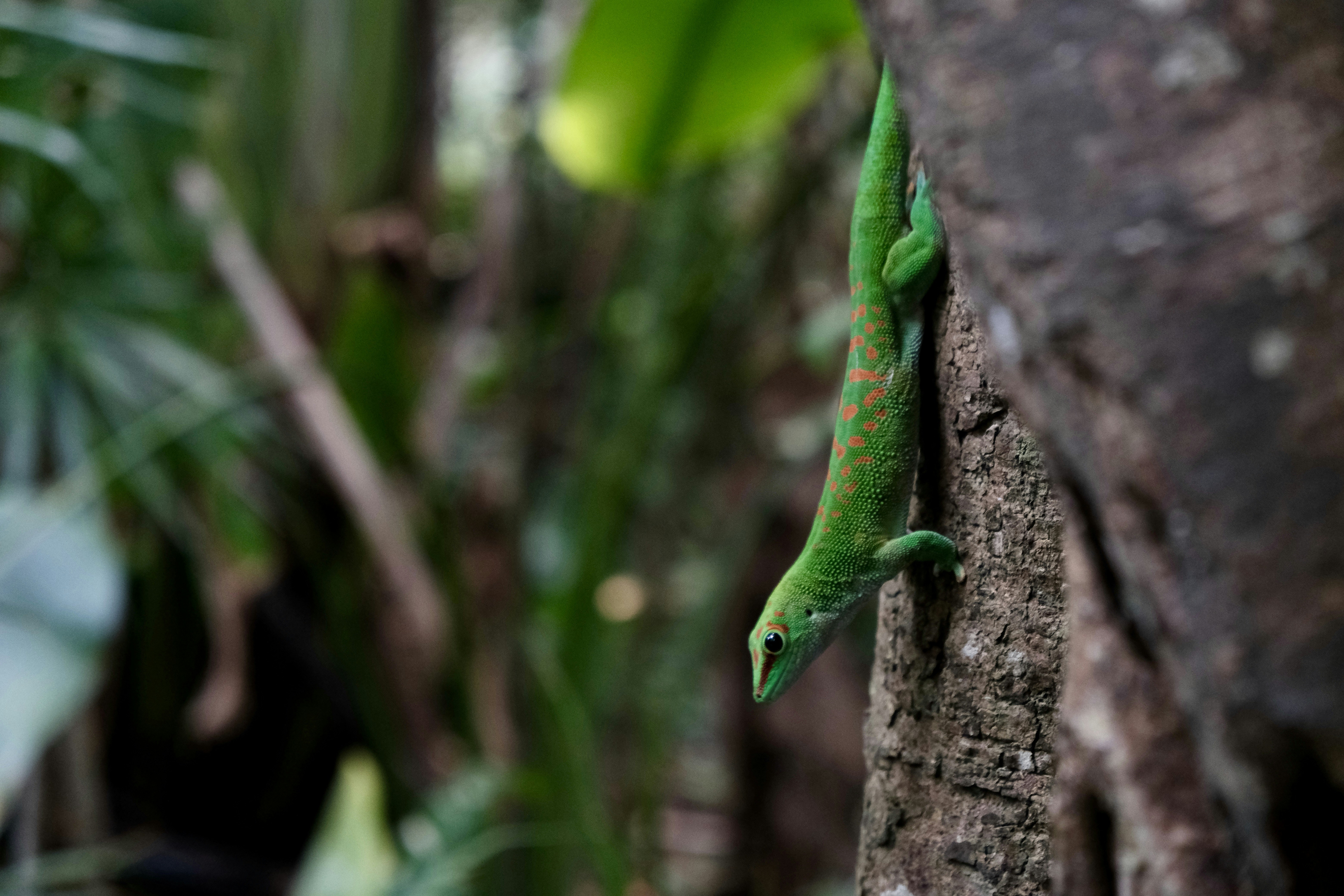 Photo by Jasmin Maag with Fujifilm X-T30 II