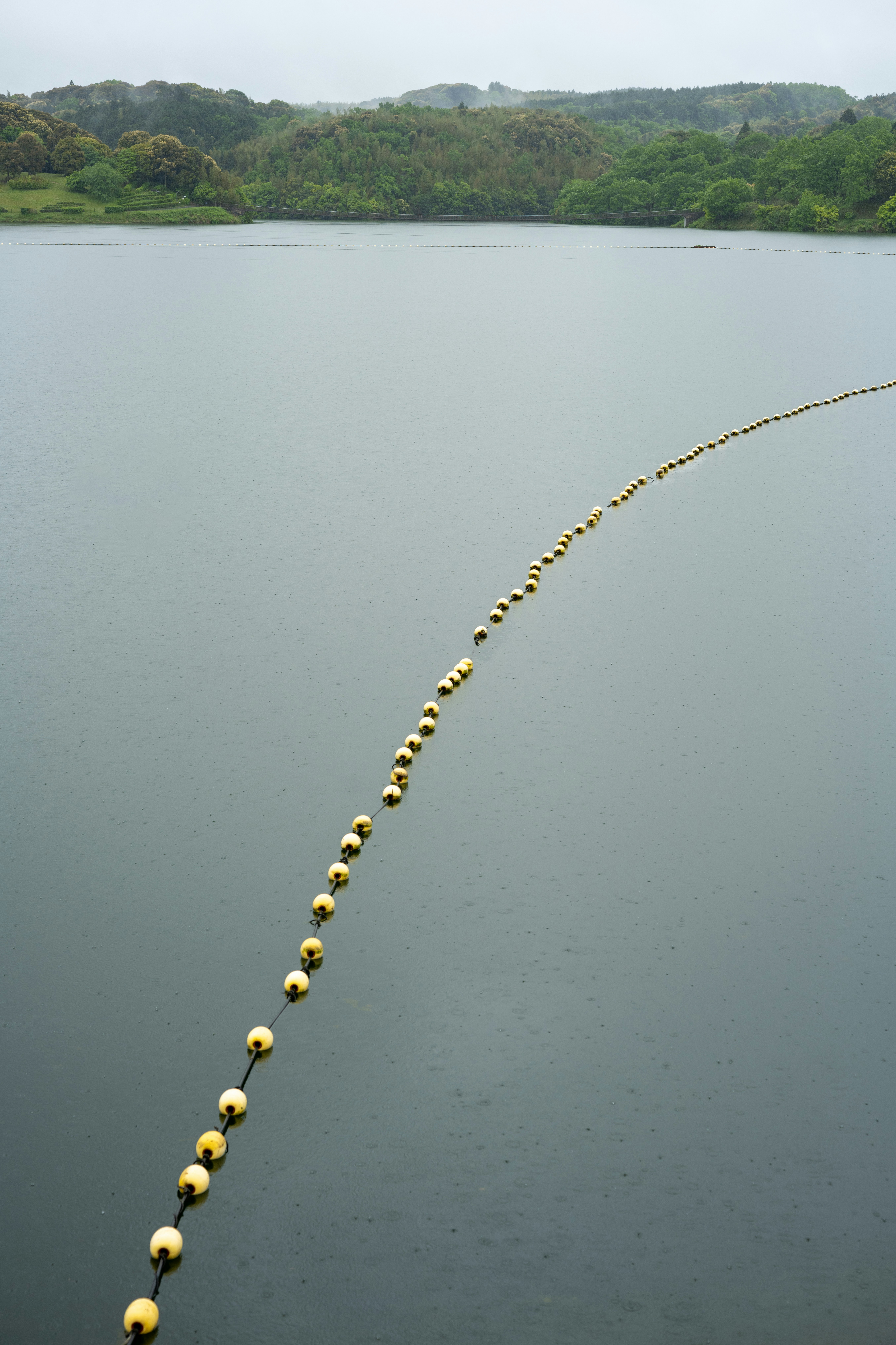 Arc of Golden Buoys Tracing a Quiet Lake
