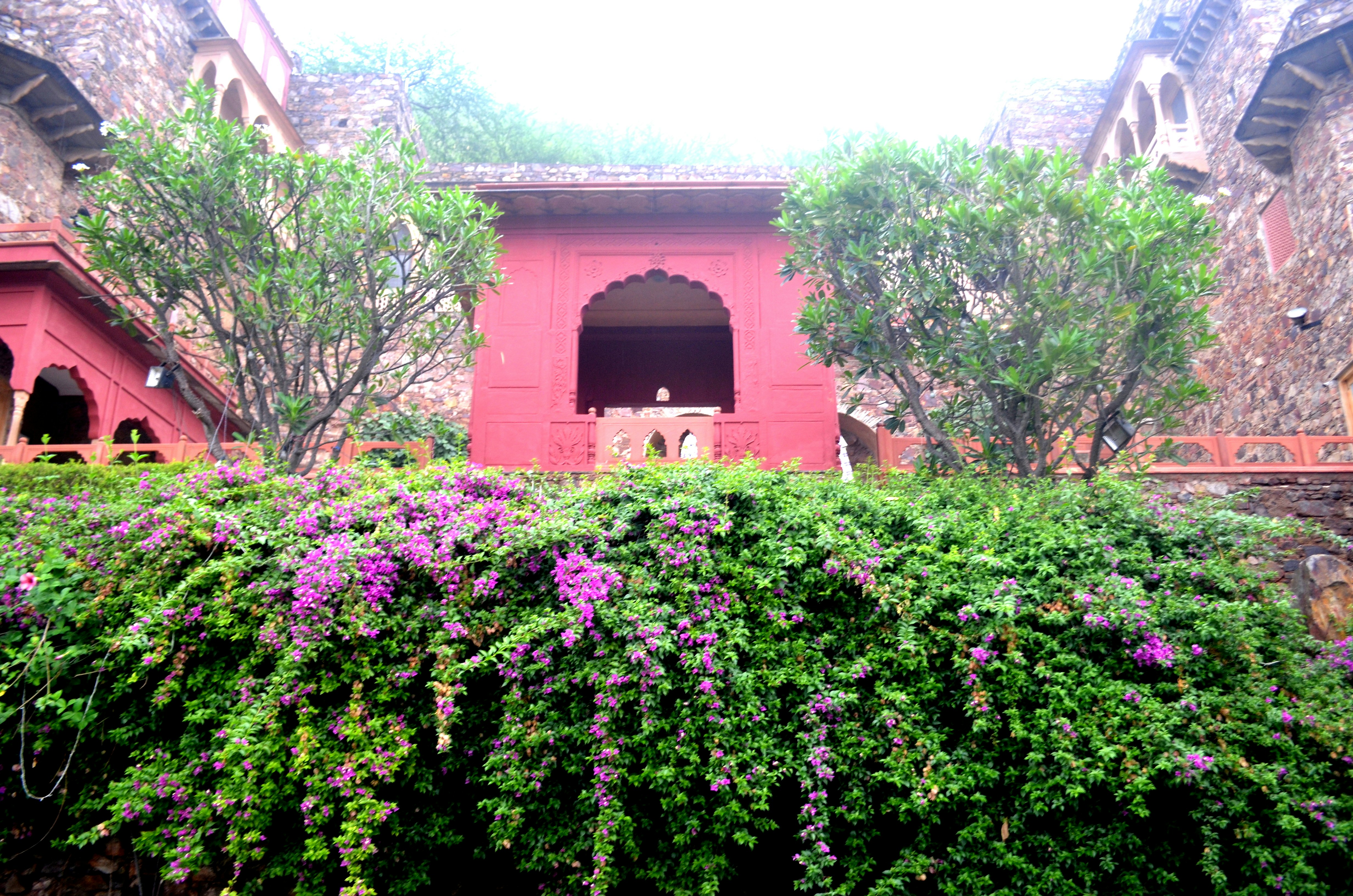 Crimson Archway Framed by Purple Bougainvillea