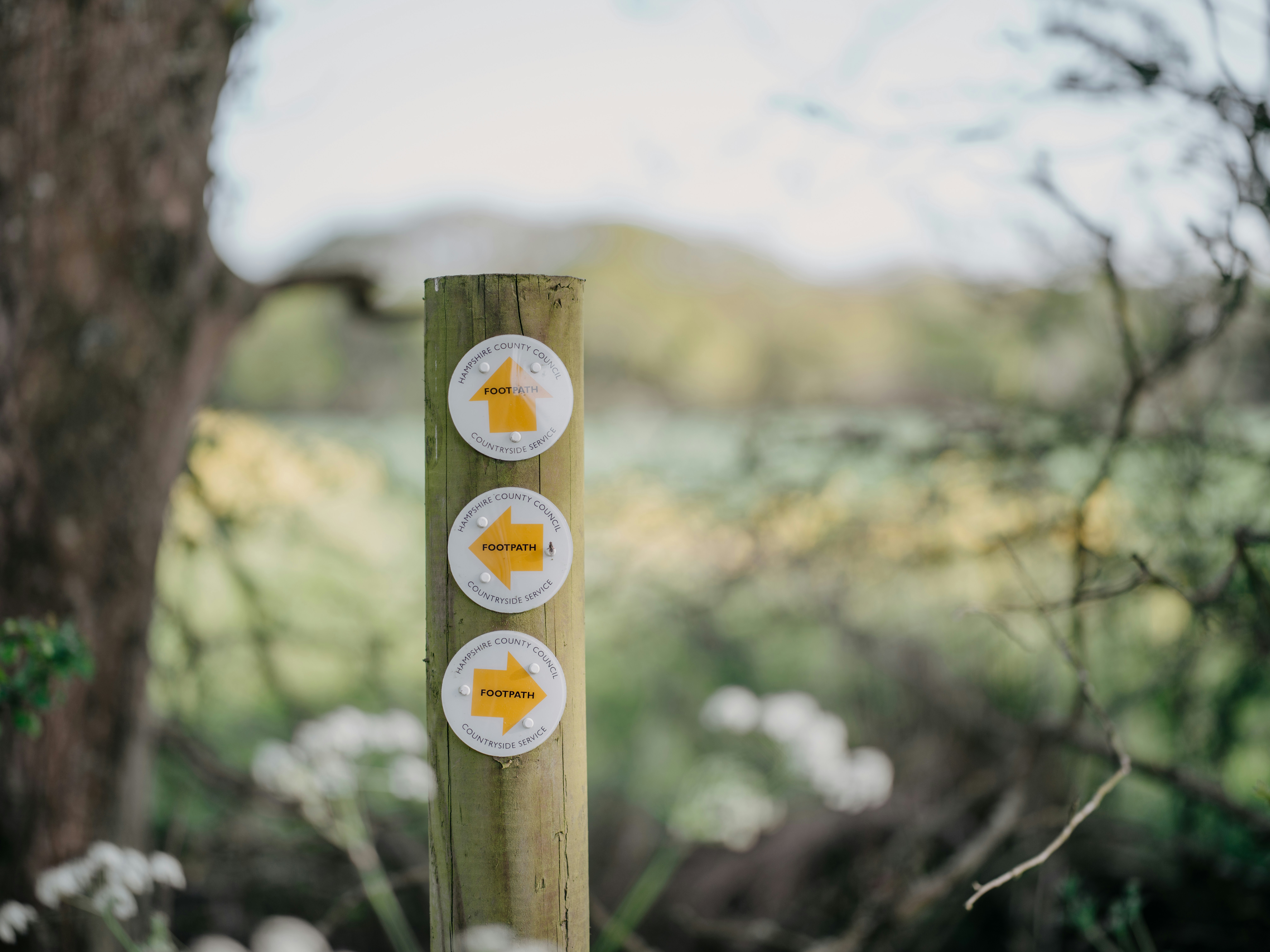 a close up of a wooden pole with stickers on it