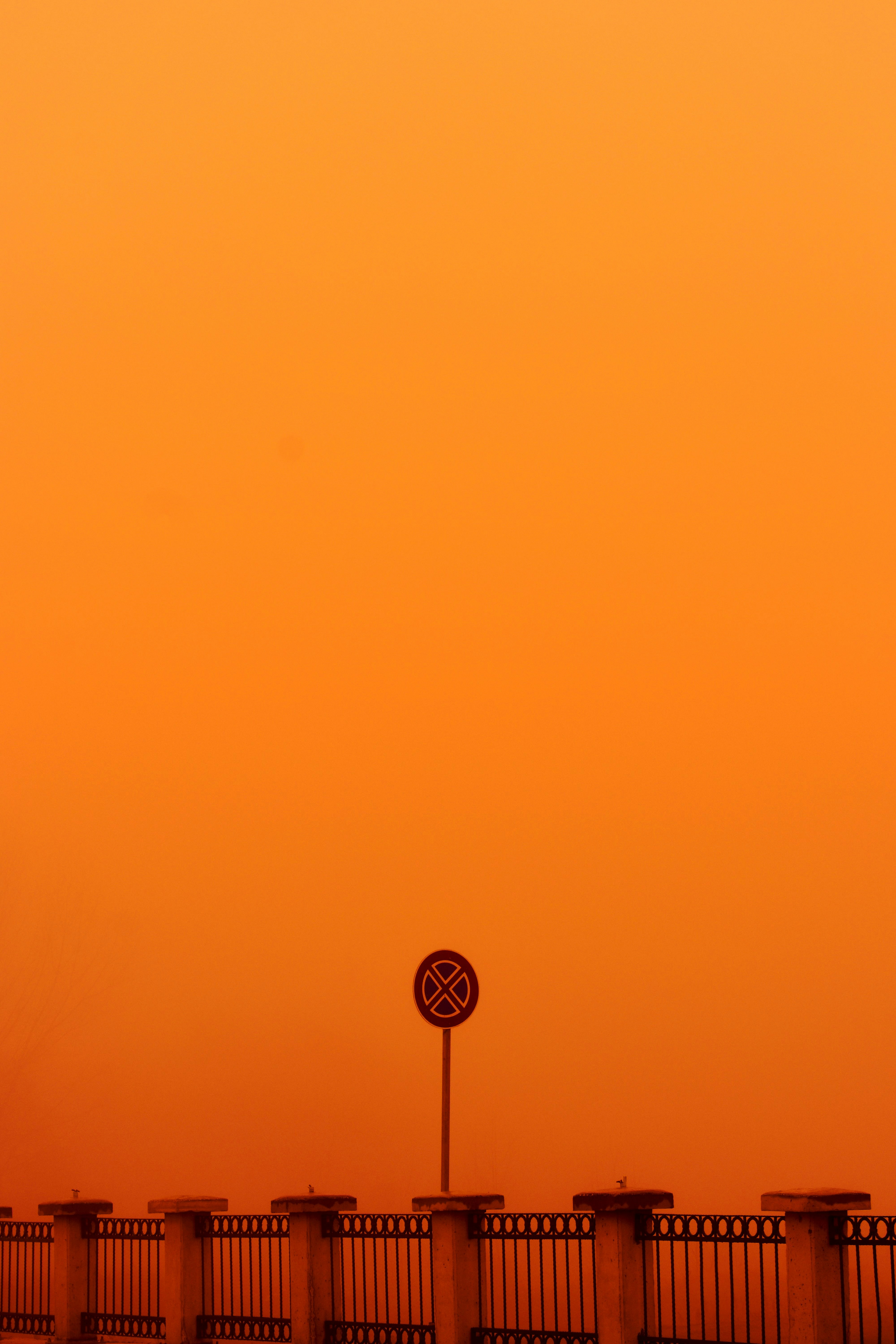 Sunset Sentinel Over an Orange Horizon
