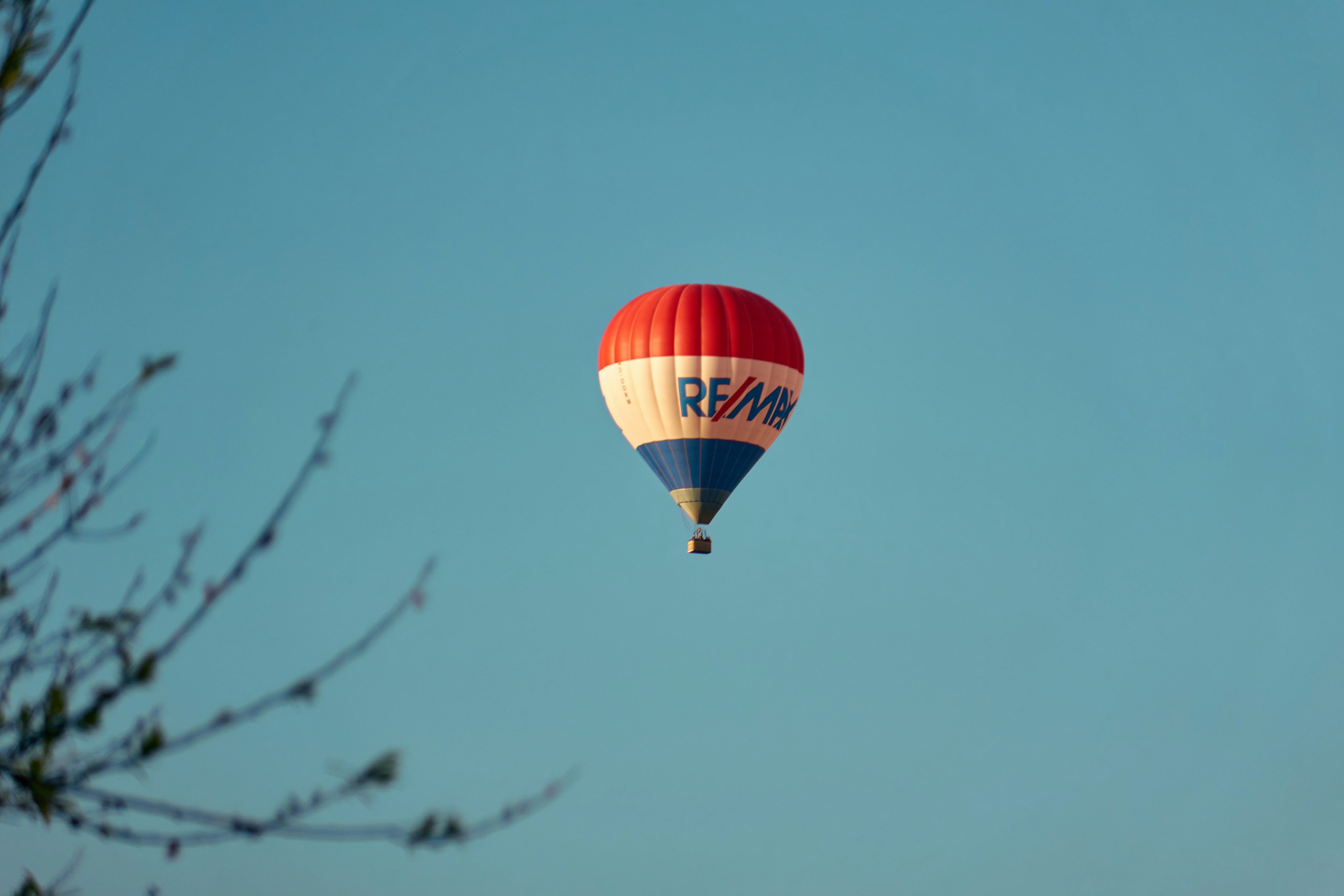 Red, white, and blue hot air balloon floating against a clear blue sky with tree branches in the foreground.