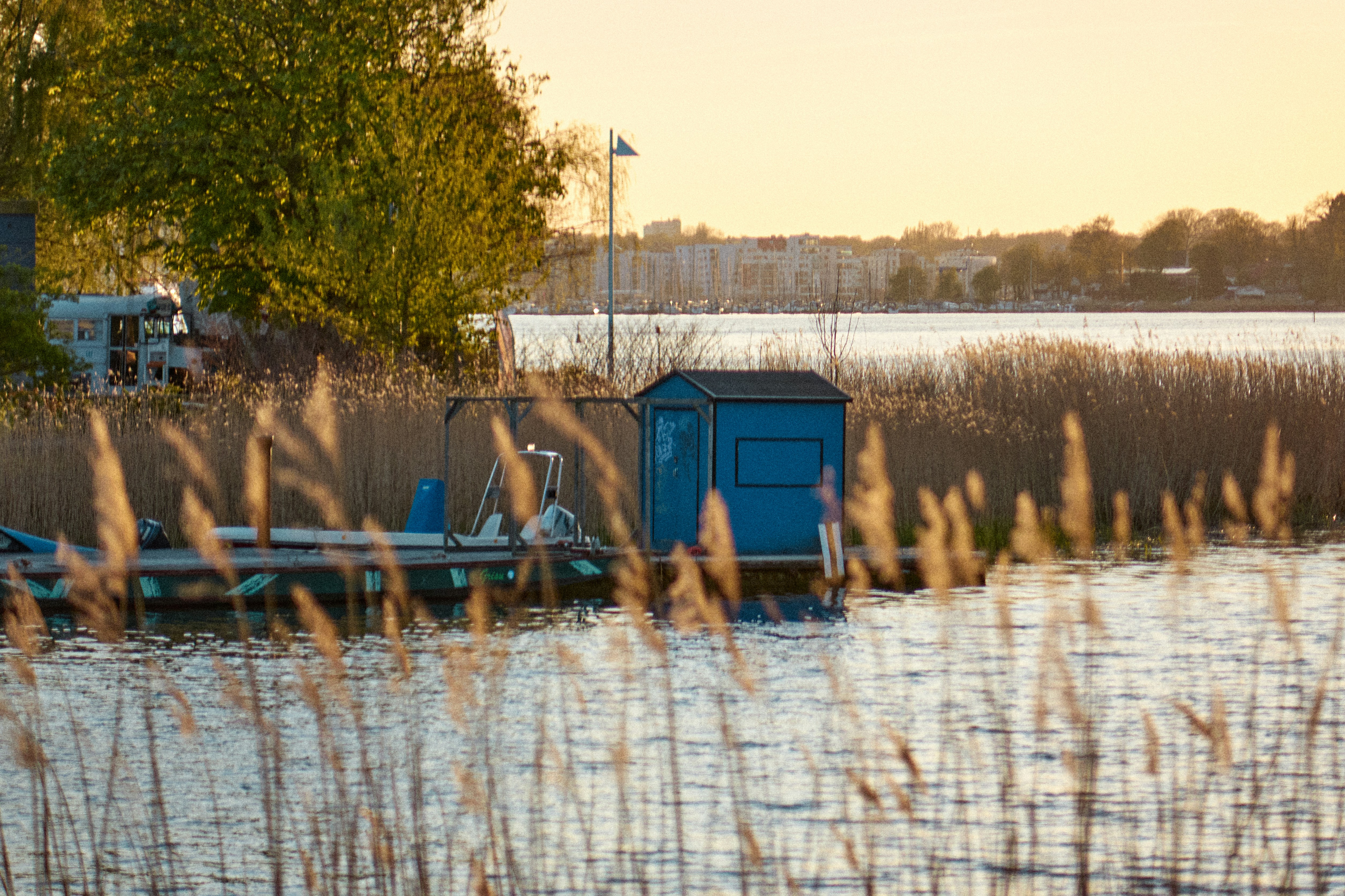 Blue Dock Shed at Golden Hour: Quiet Lakefront by Reeds