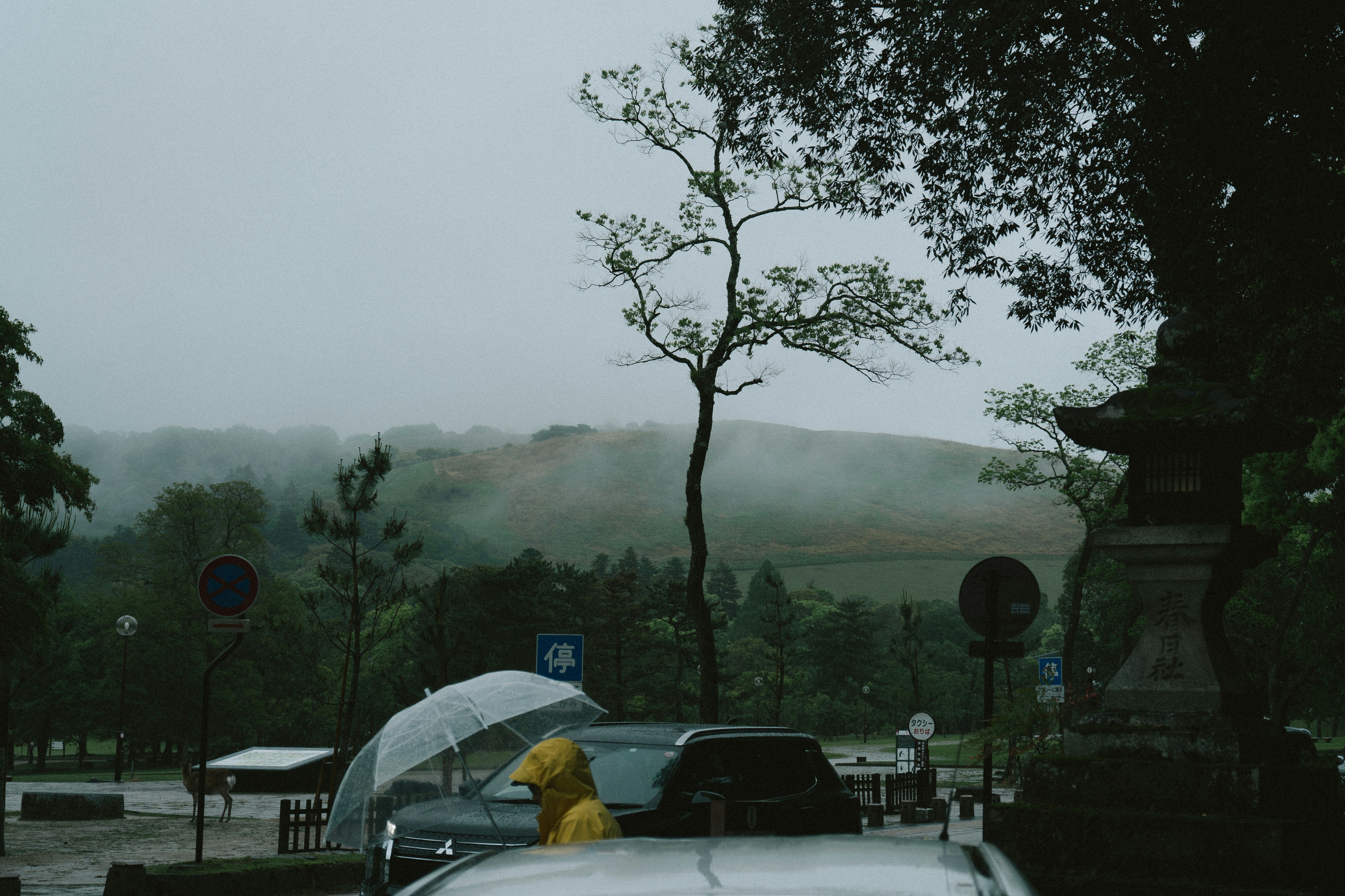 Yellow Raincoat Moment by Lanterns on a Misty Hillside