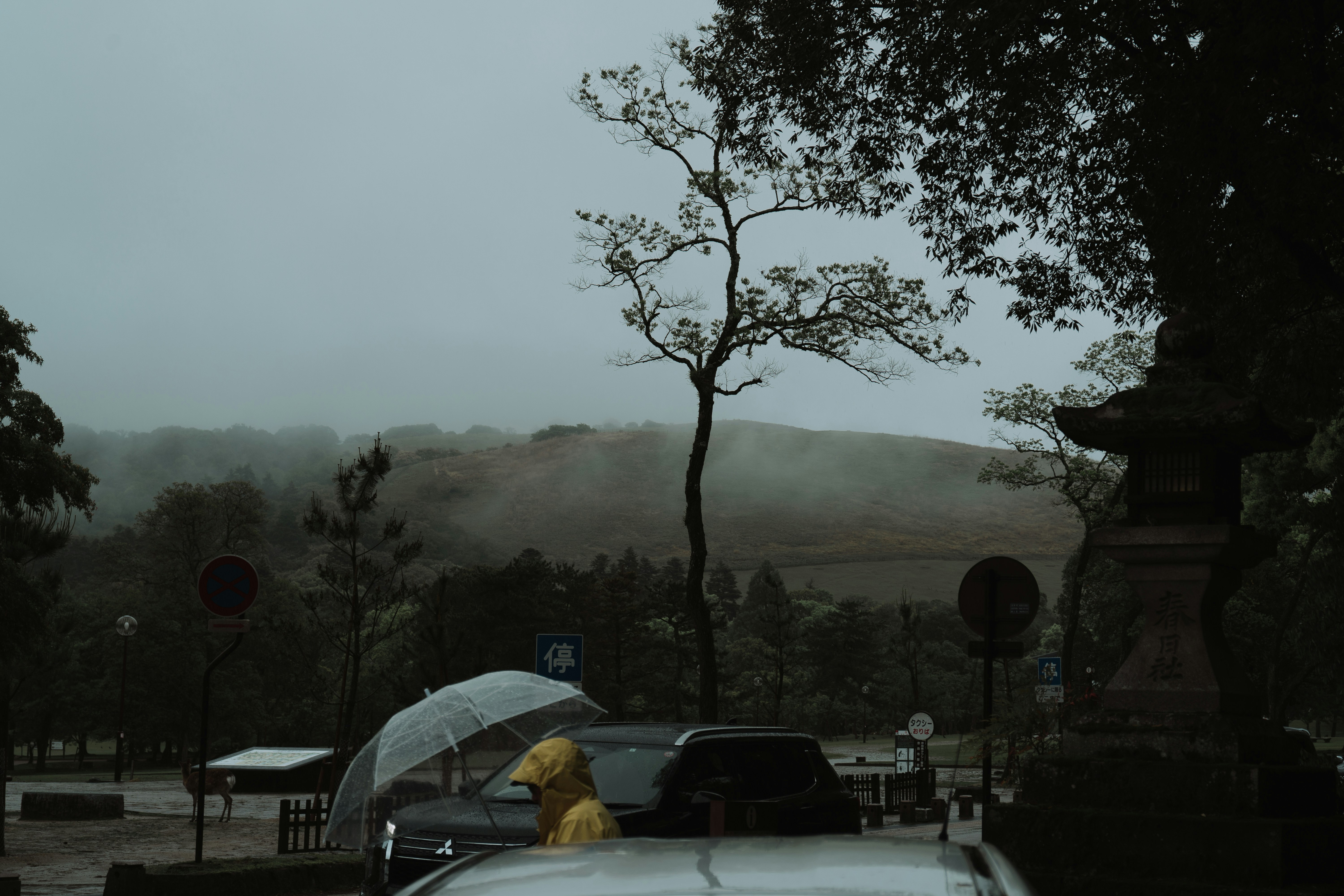 A person with an umbrella standing in the rain photo – Free Nara Image ...