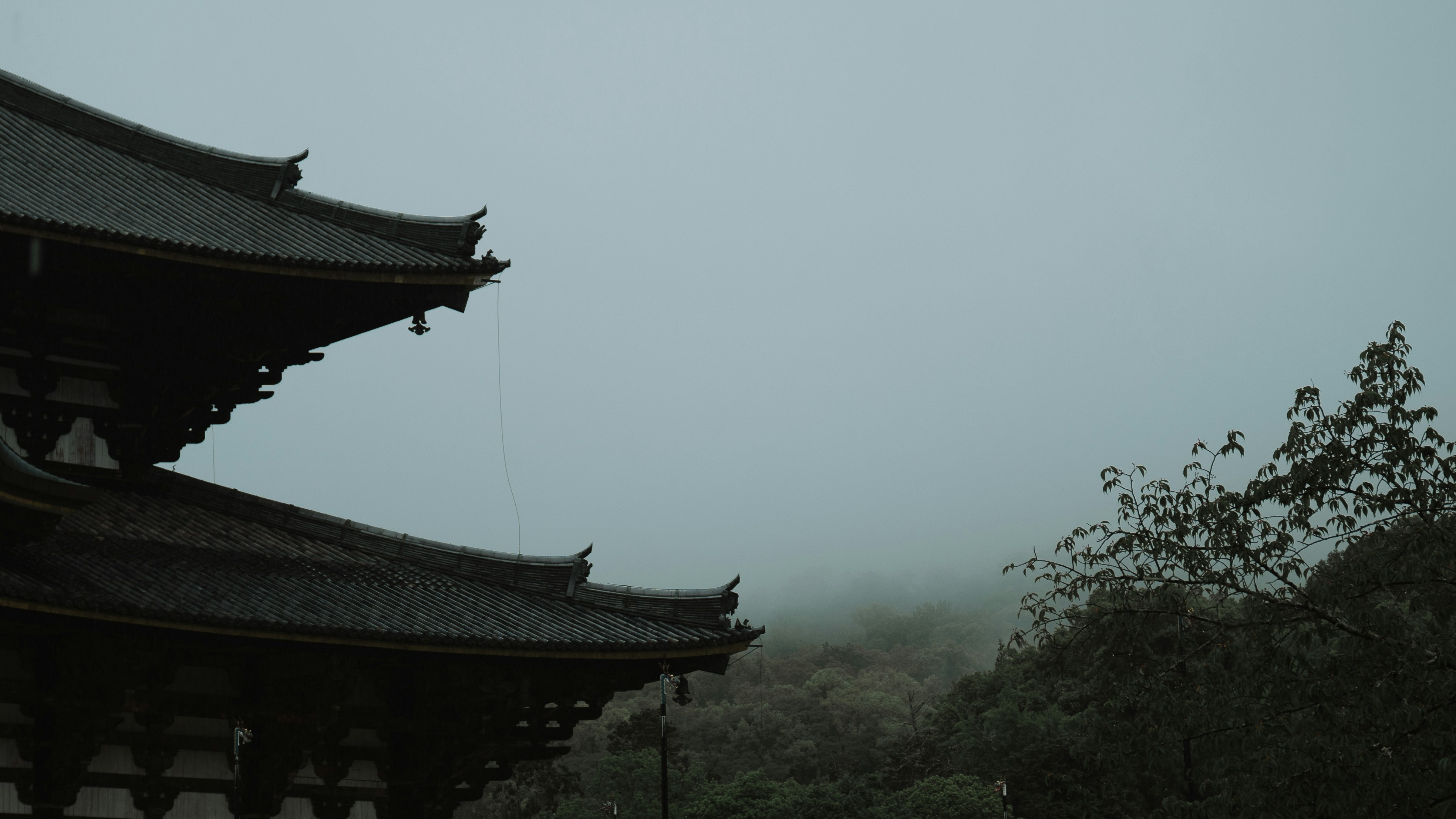 A foggy day with a building and trees in the foreground photo – Free ...