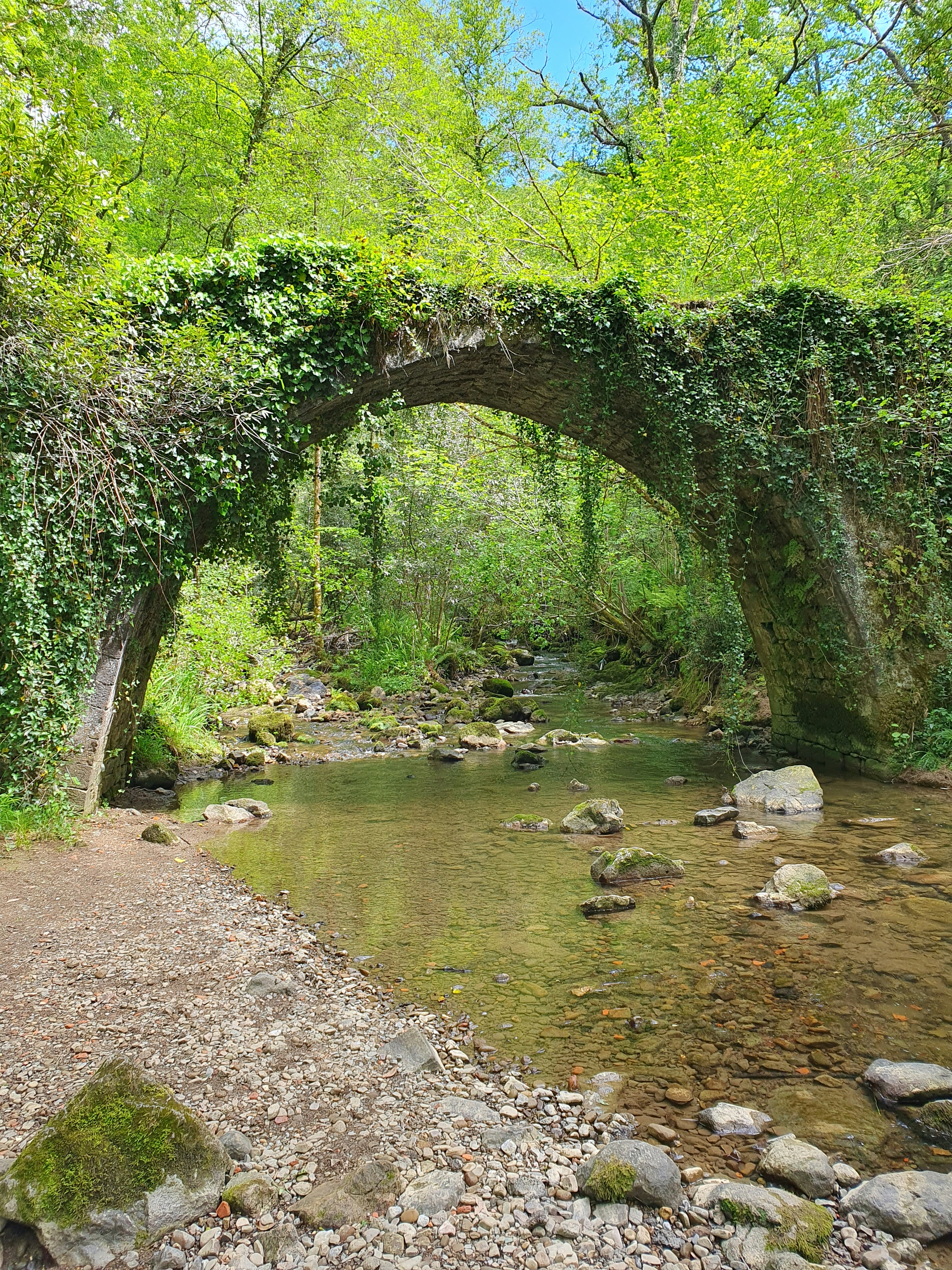 Stone Arch Over a Burbling River: Ivy-Covered Trail into Green Light