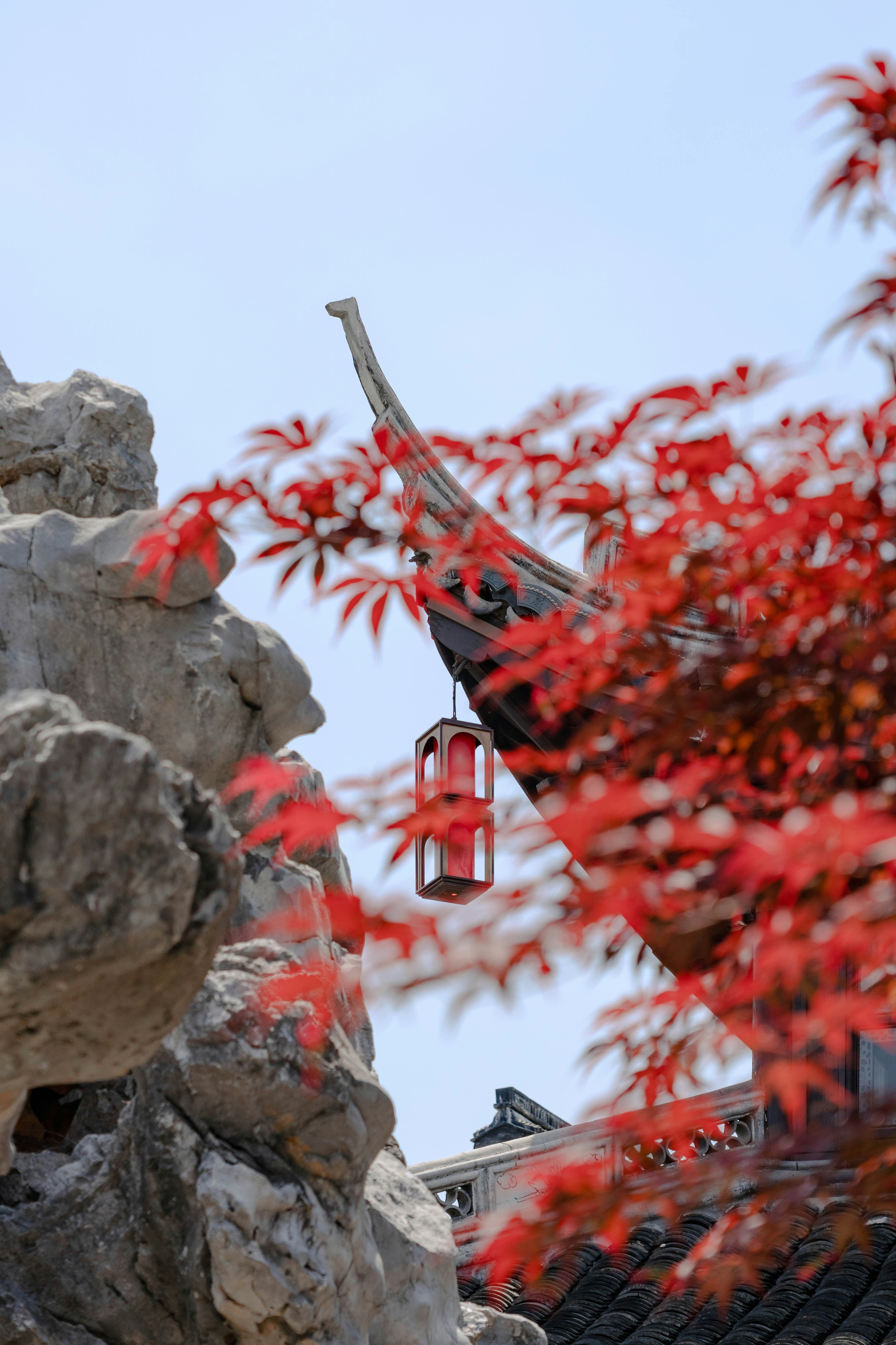 Whispers of Tradition: A Lantern's Glow Amidst Autumn Leaves