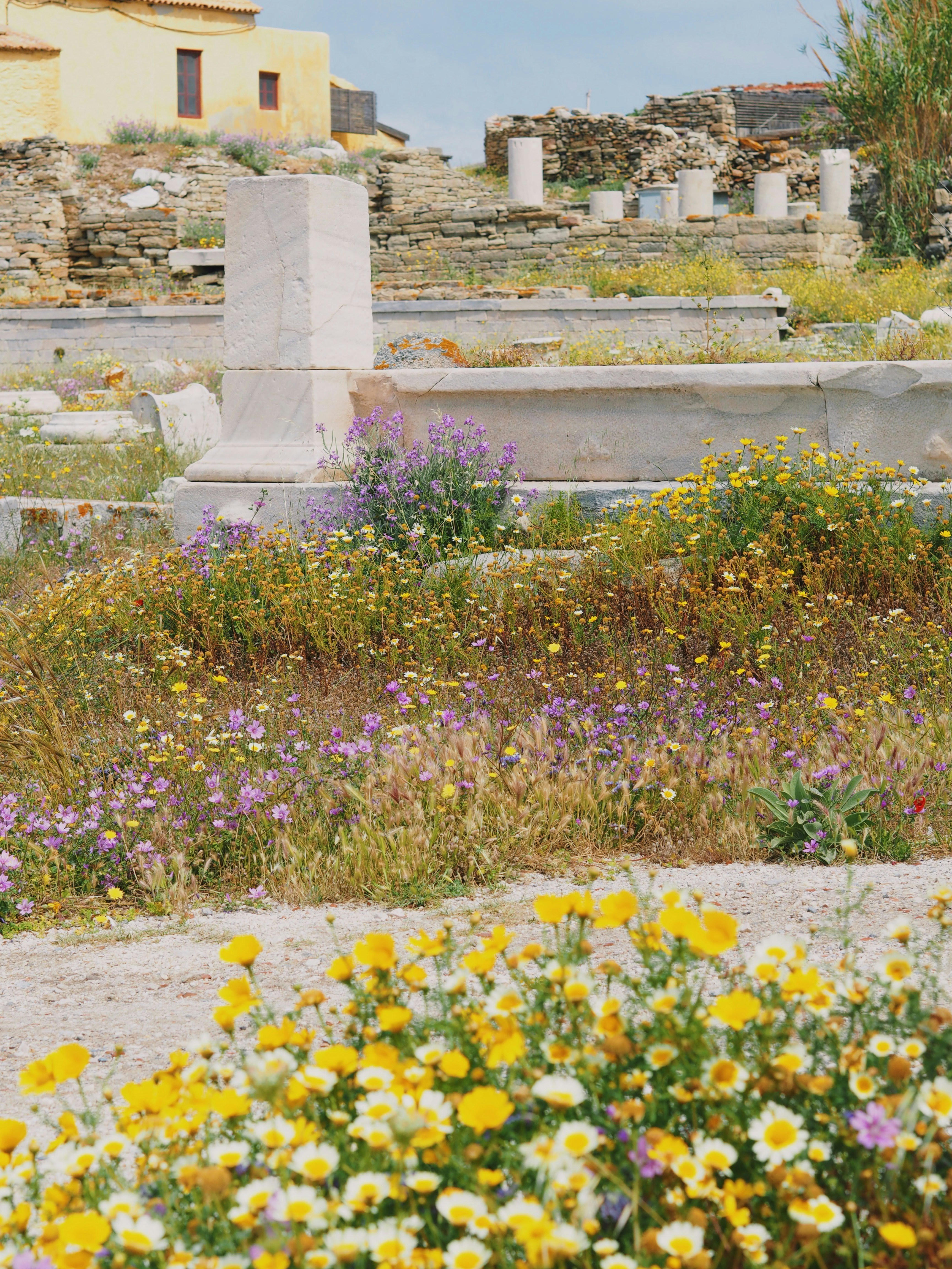 Marble Column Amid a Sea of Wildflowers in a Sunlit Ruin Garden
