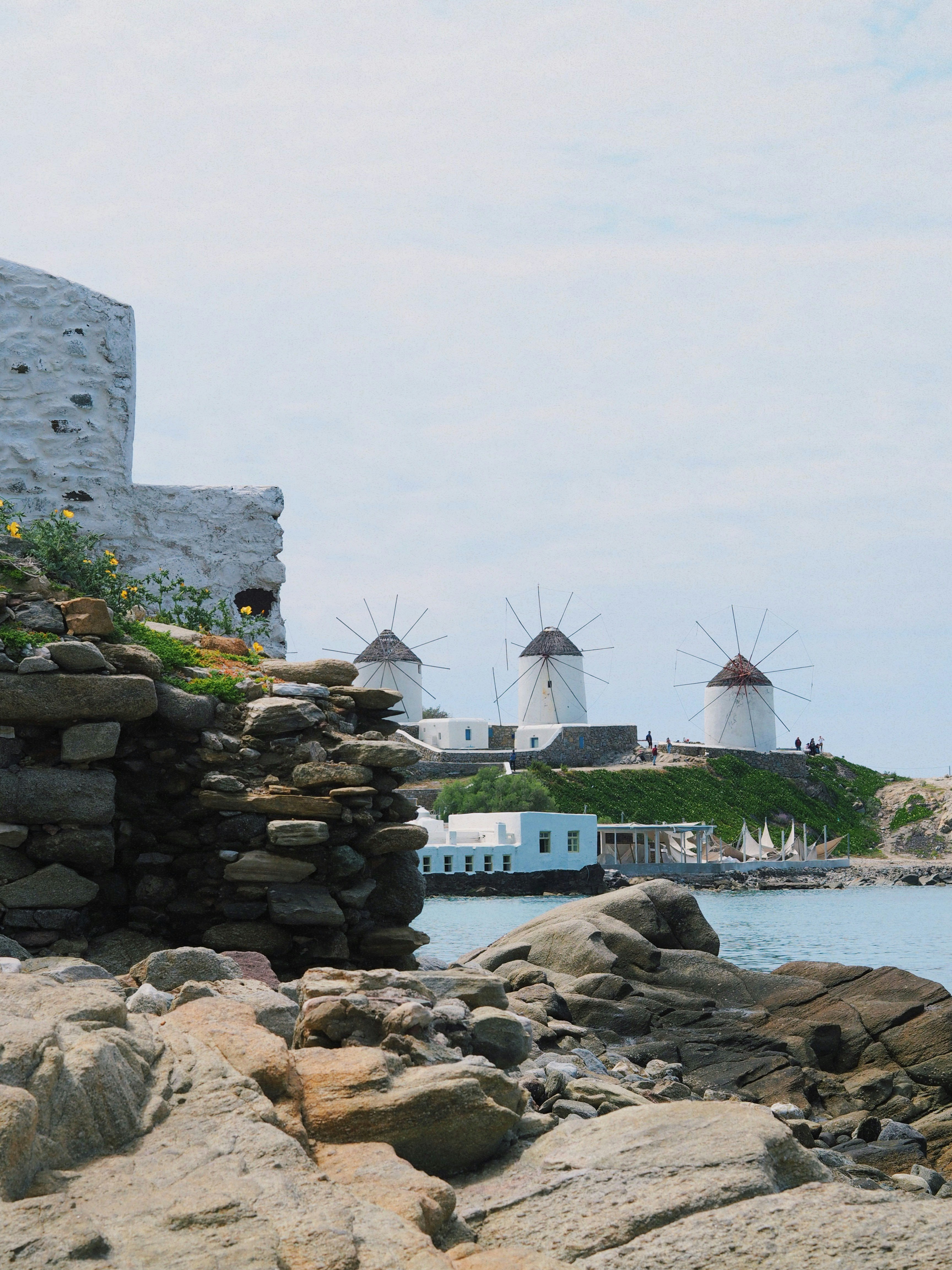 Windmills Over the Rocky Shore