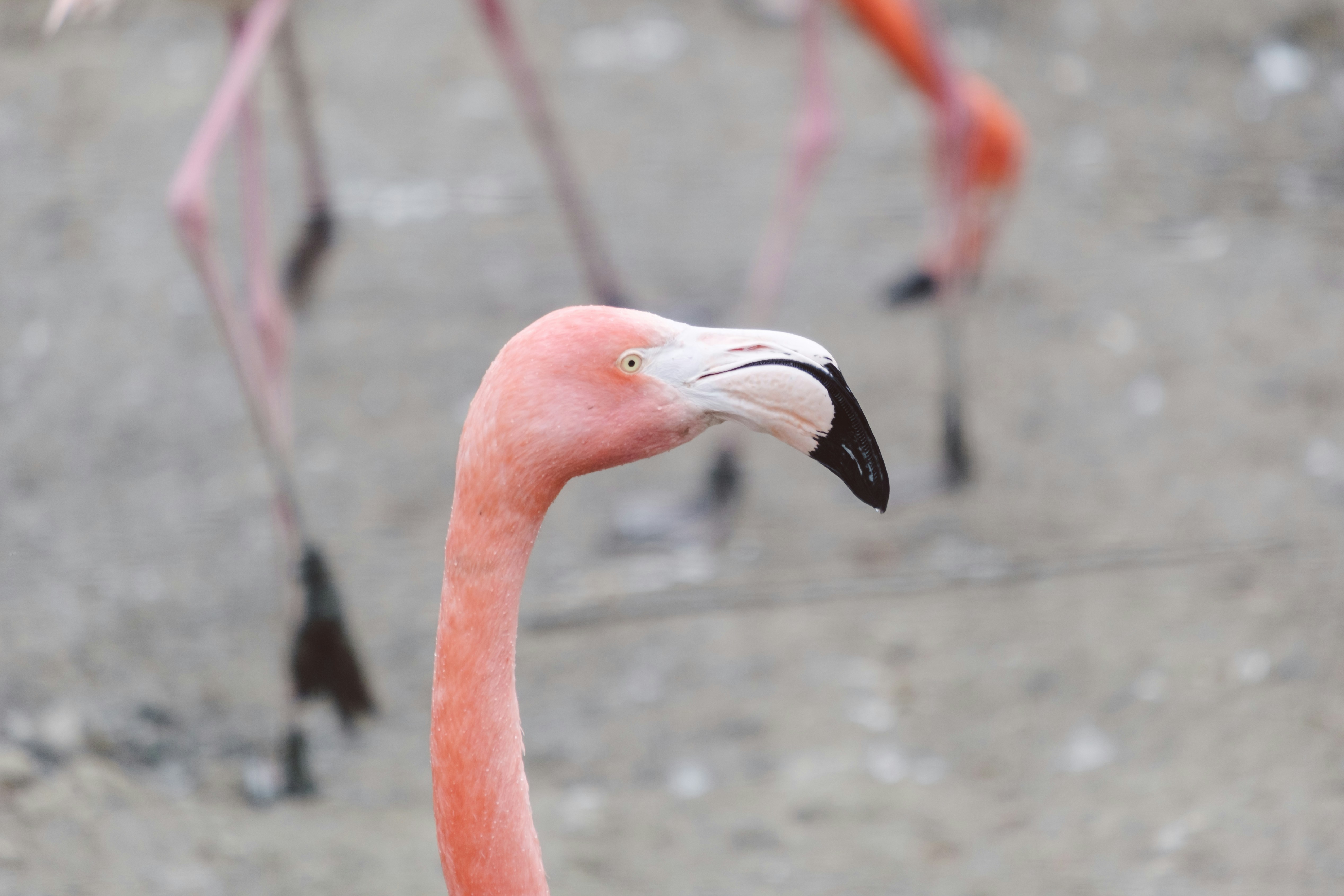 Photo by Yves Cedric Schulze with Fujifilm X-T30