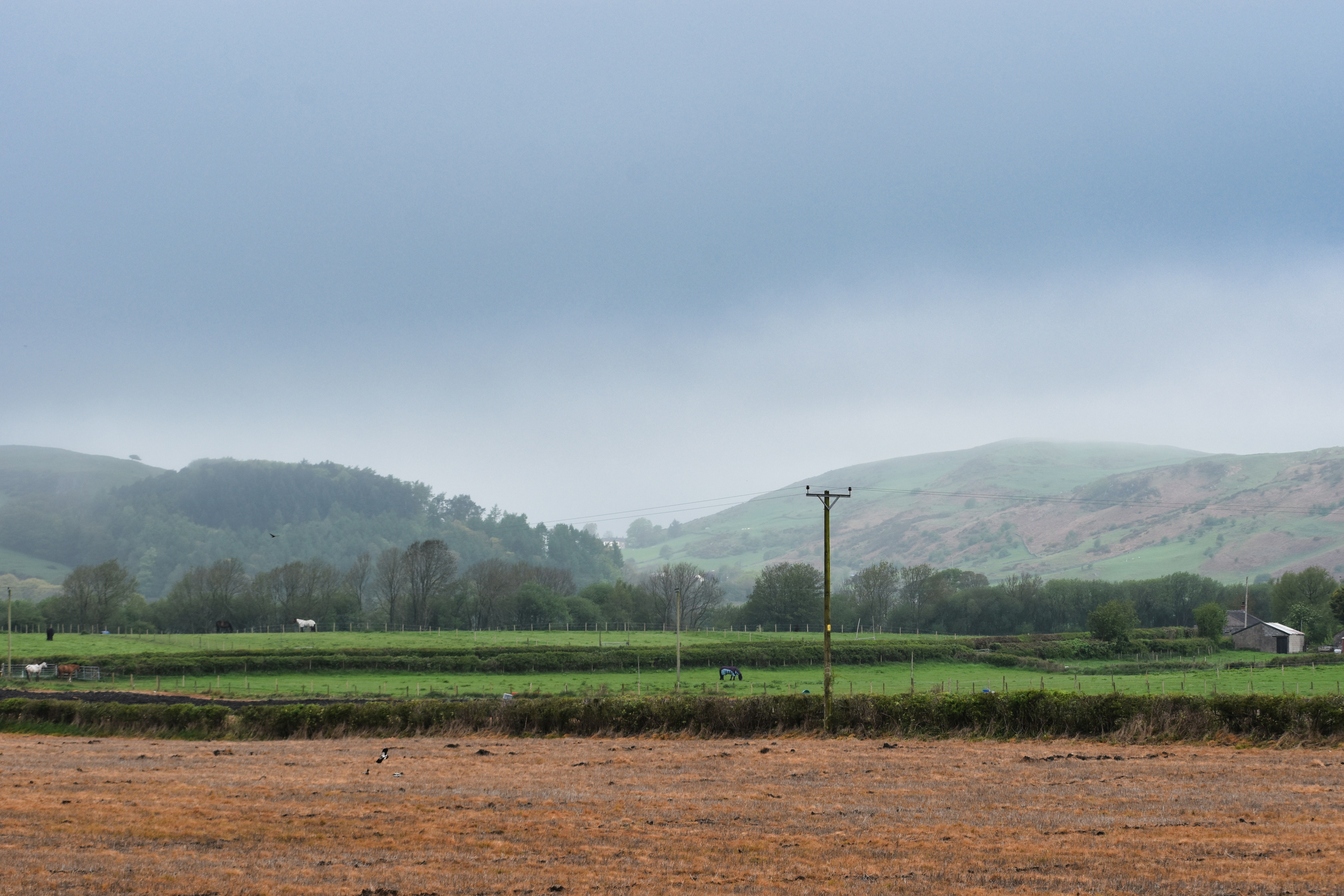 a field with a telephone pole in the middle of it
