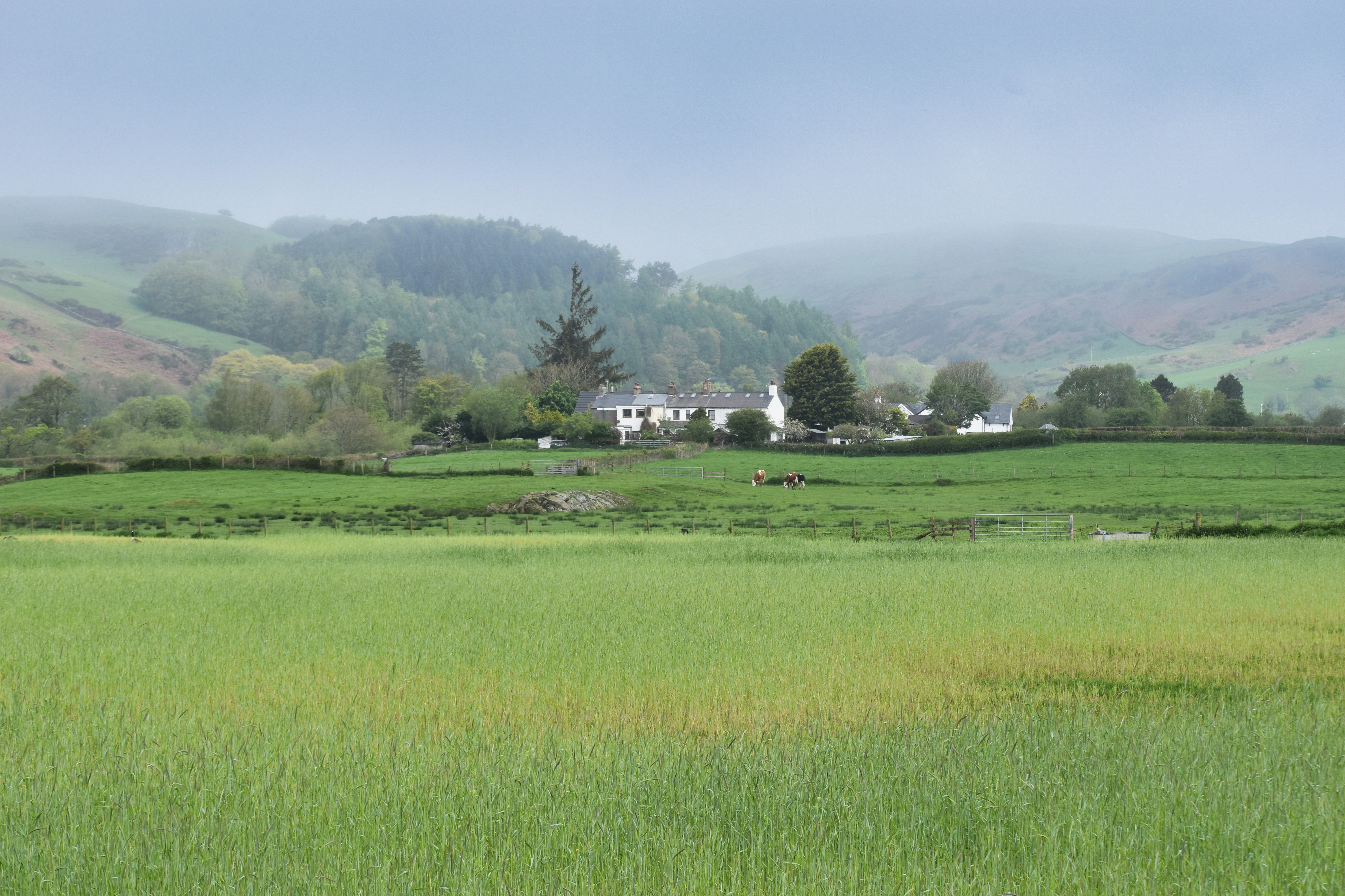 Photo by Andrew Hall with Nikon D5600