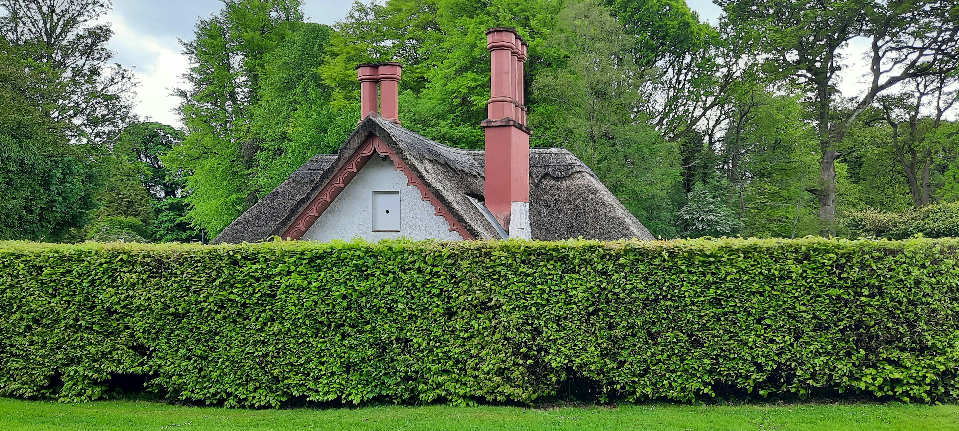 A house with a thatched roof surrounded by a hedge photo – Free House ...