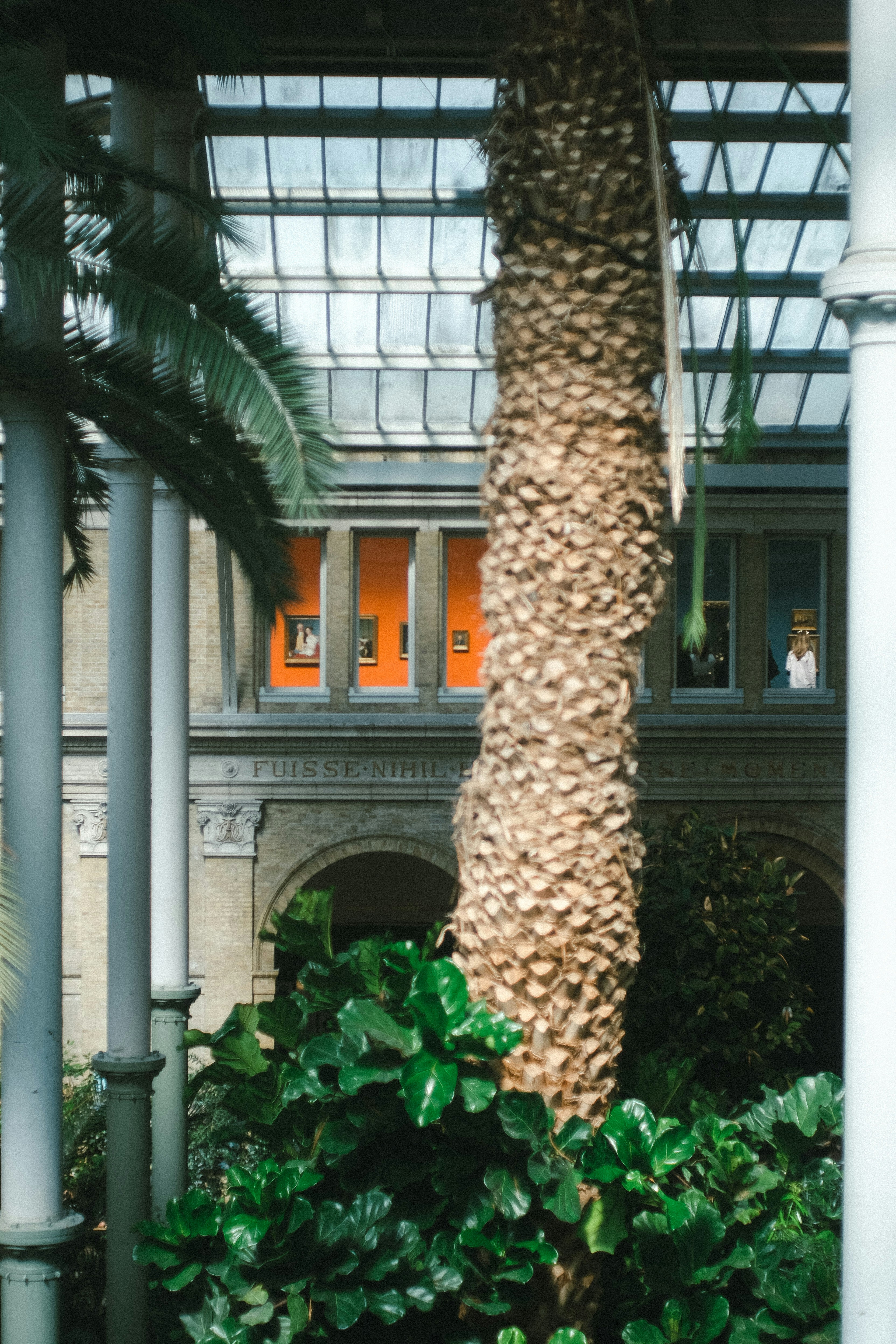 A palm tree in the middle of a building photo – Free Denmark Image on ...