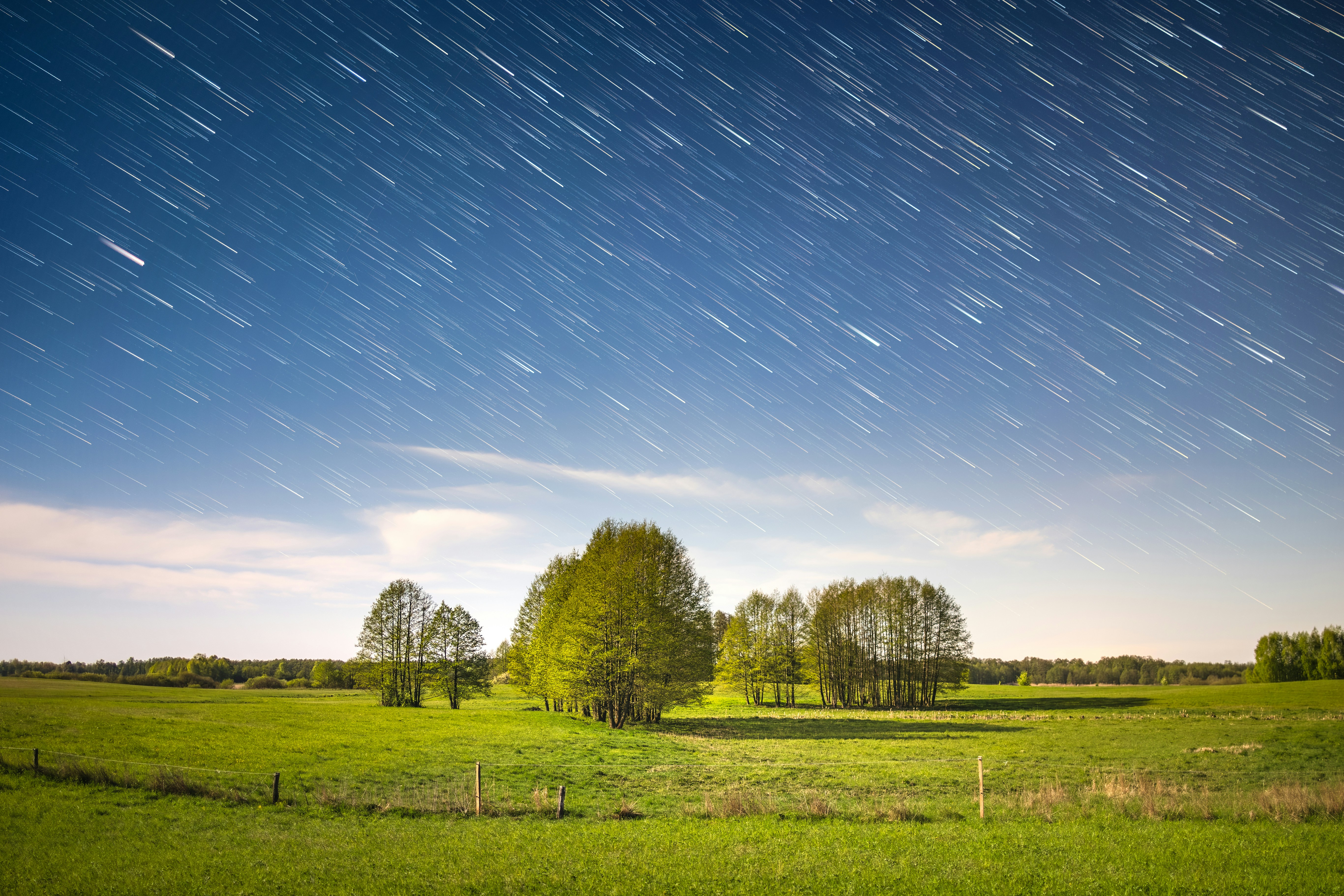 Star Trails Over a Quiet Meadow: A Timelapse Night Portrait of Trees