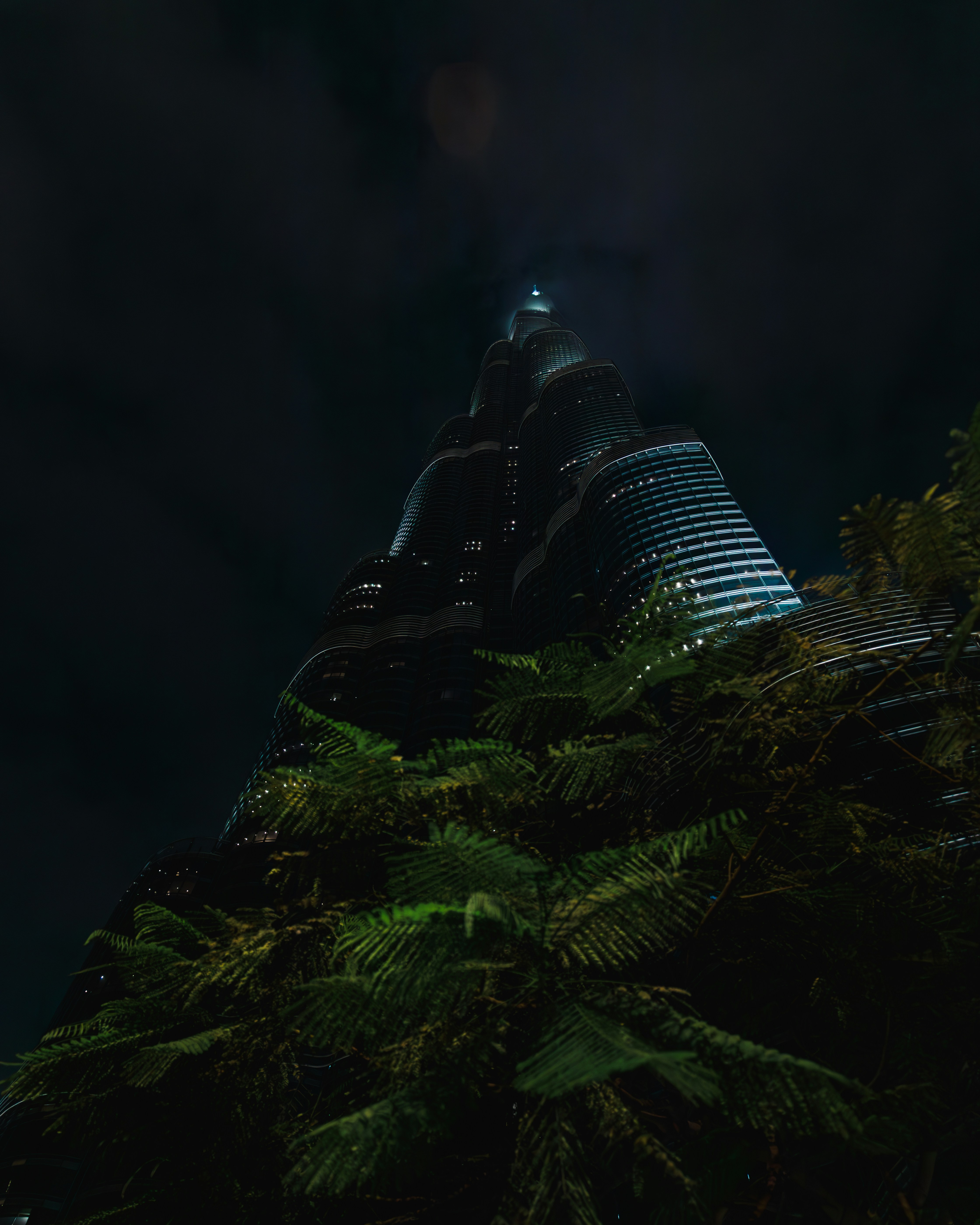 Night Ascent: Neon Skyscraper Surrounded by Fronds