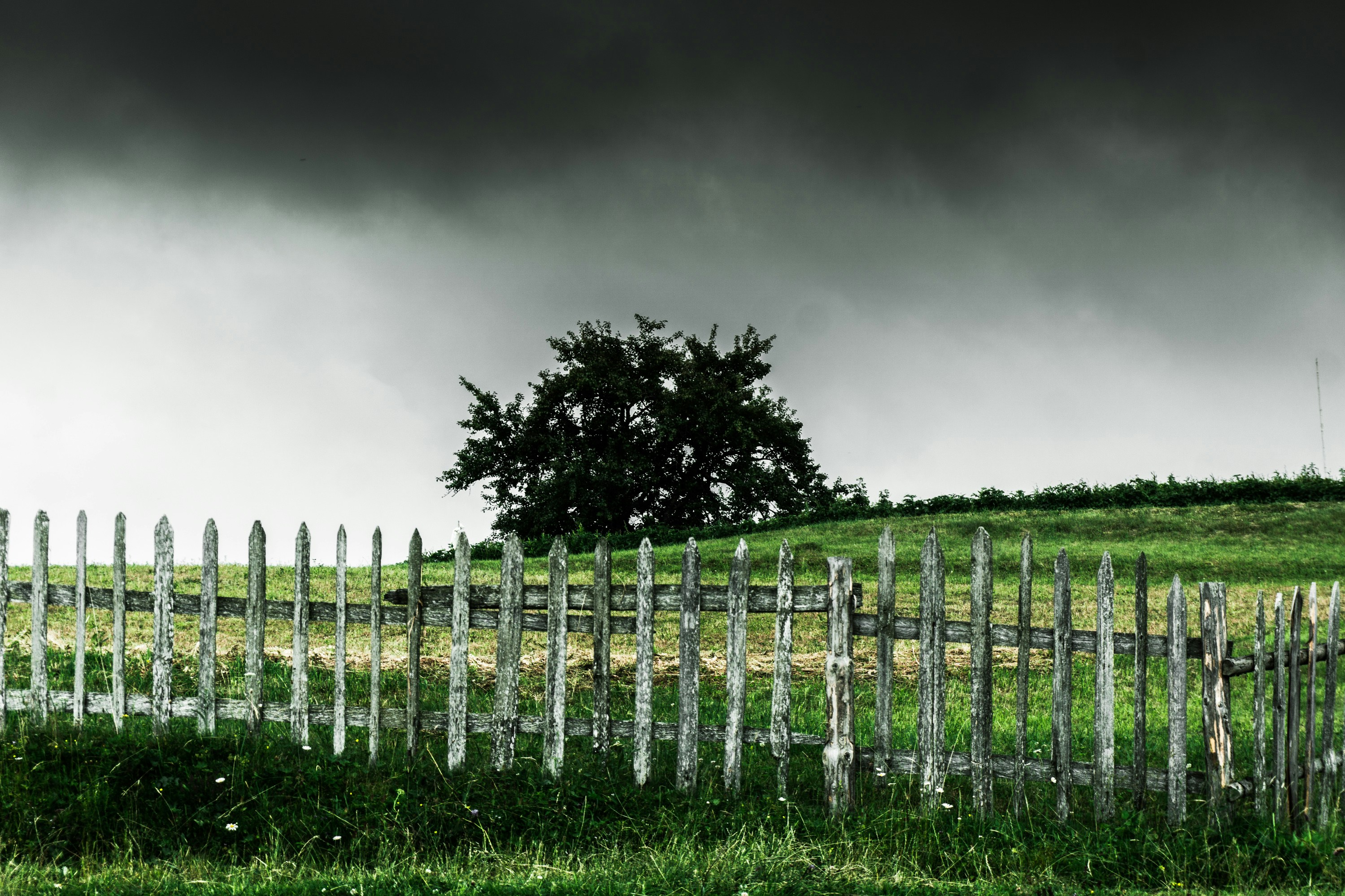 A wooden fence with a tree in the background photo – Free Wallpaper ...