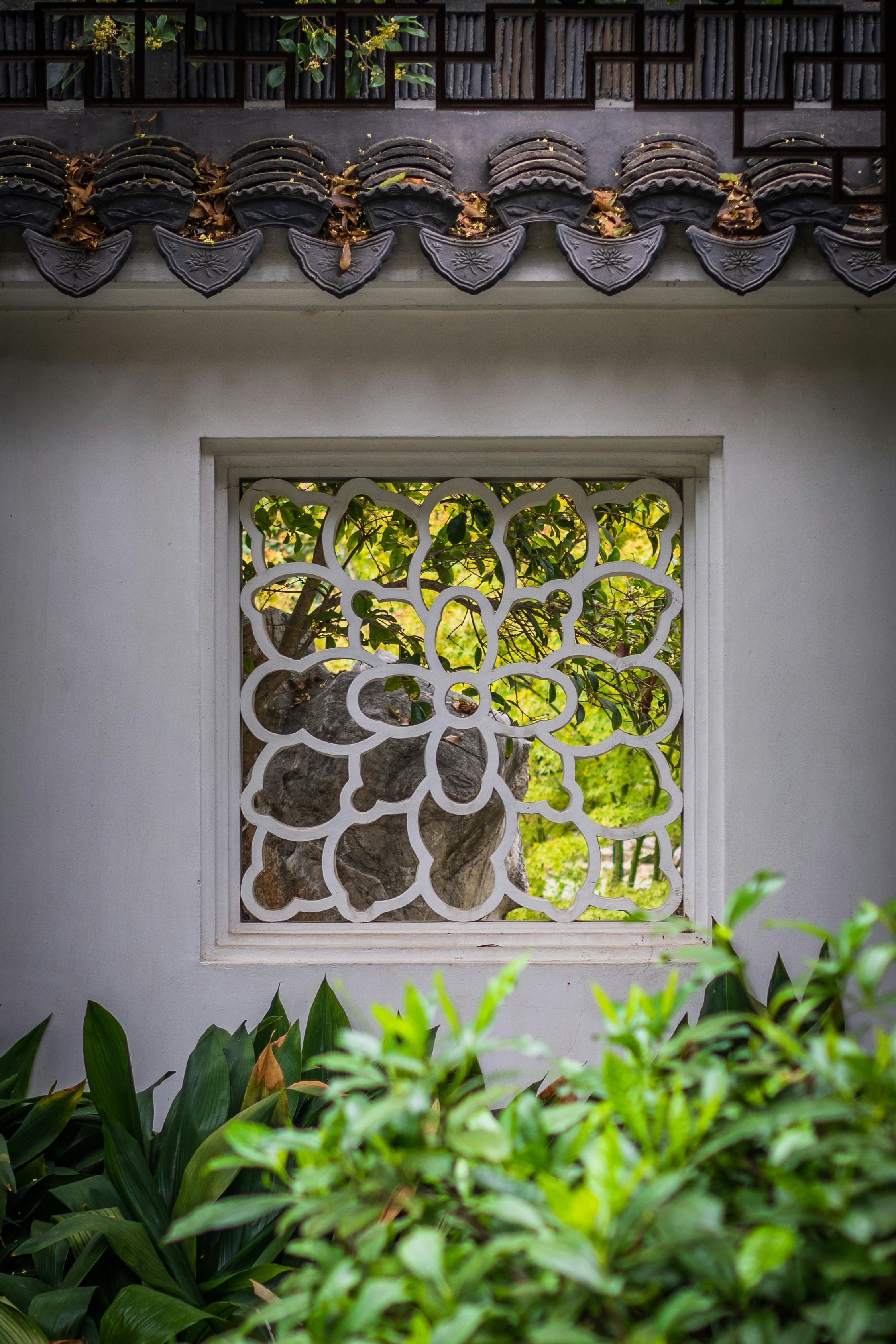 Sunlit Lattice Window Framing a Quiet Garden