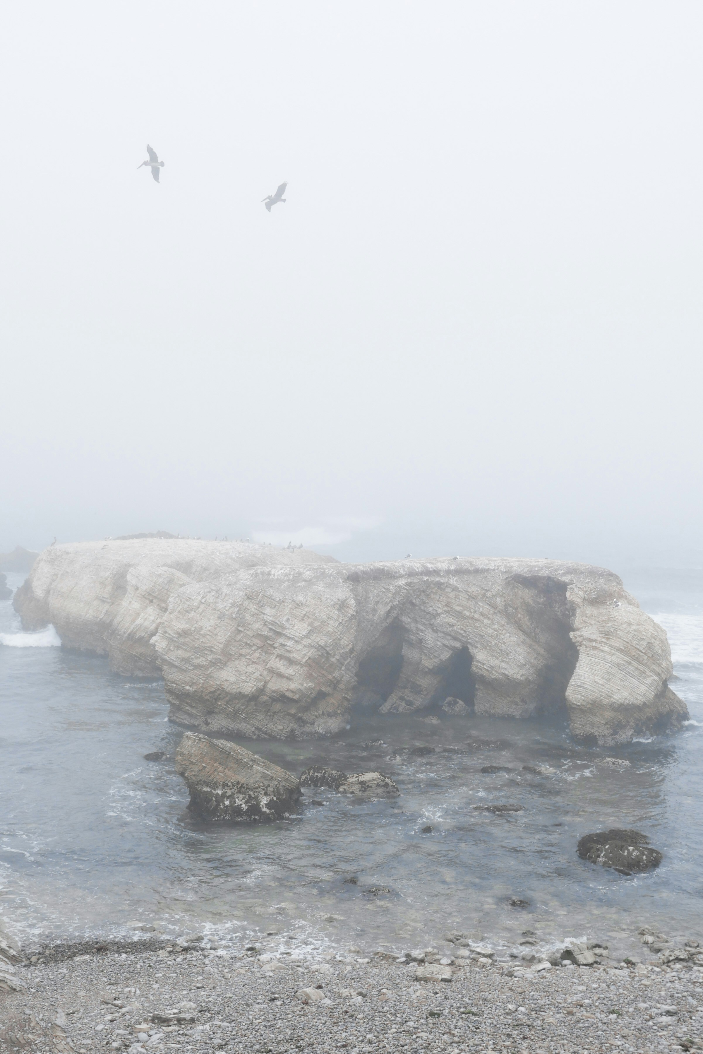 Fog-softened seascape centered on a rugged rock outcrop along a pebbled shore, with two seagulls gliding in the pale sky. The scene emphasizes quiet coastal mood and natural textures.