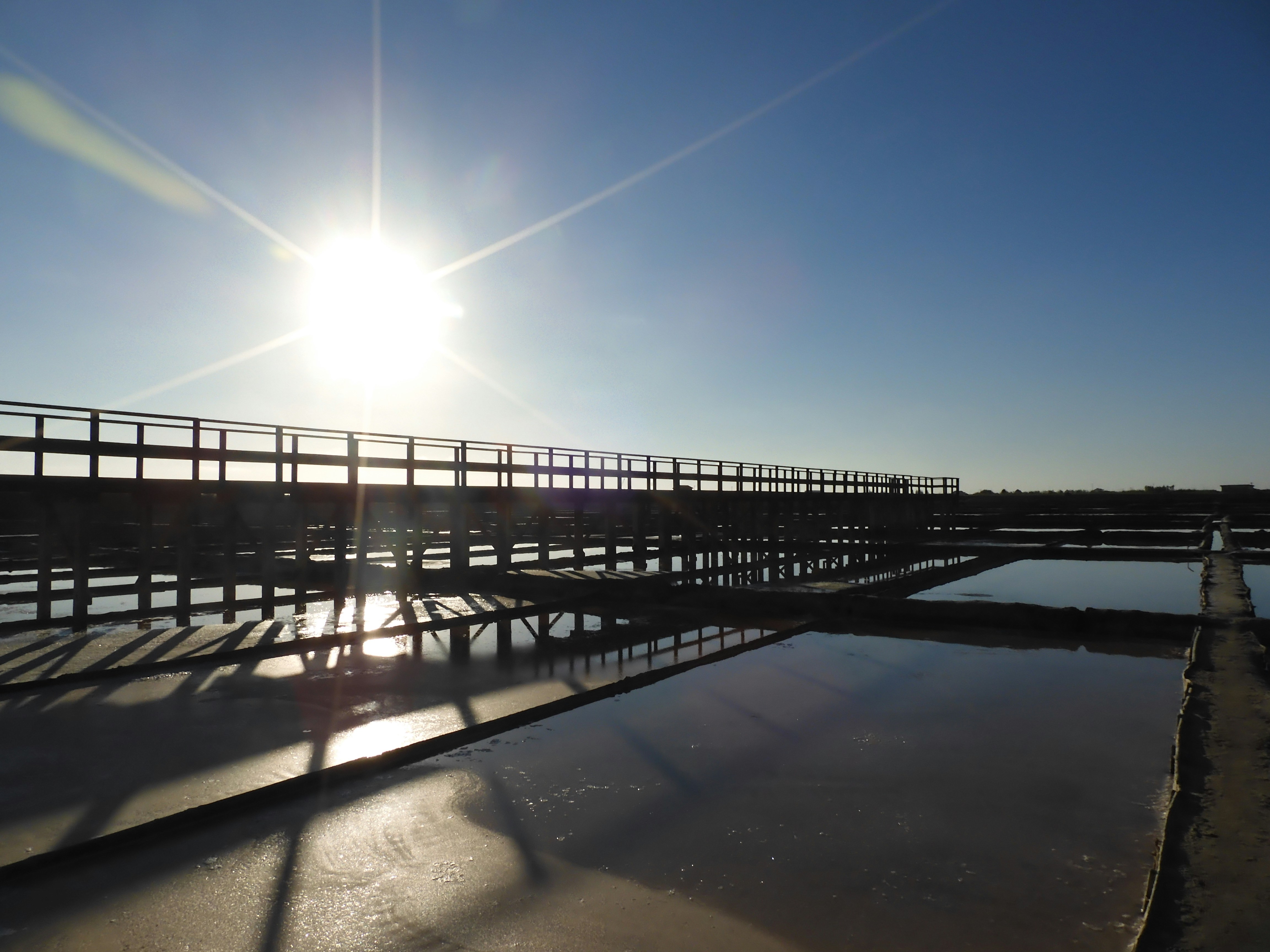 Sunlit wooden boardwalk stretches across shallow pools, with strong reflections and a bright sun high in a clear sky.