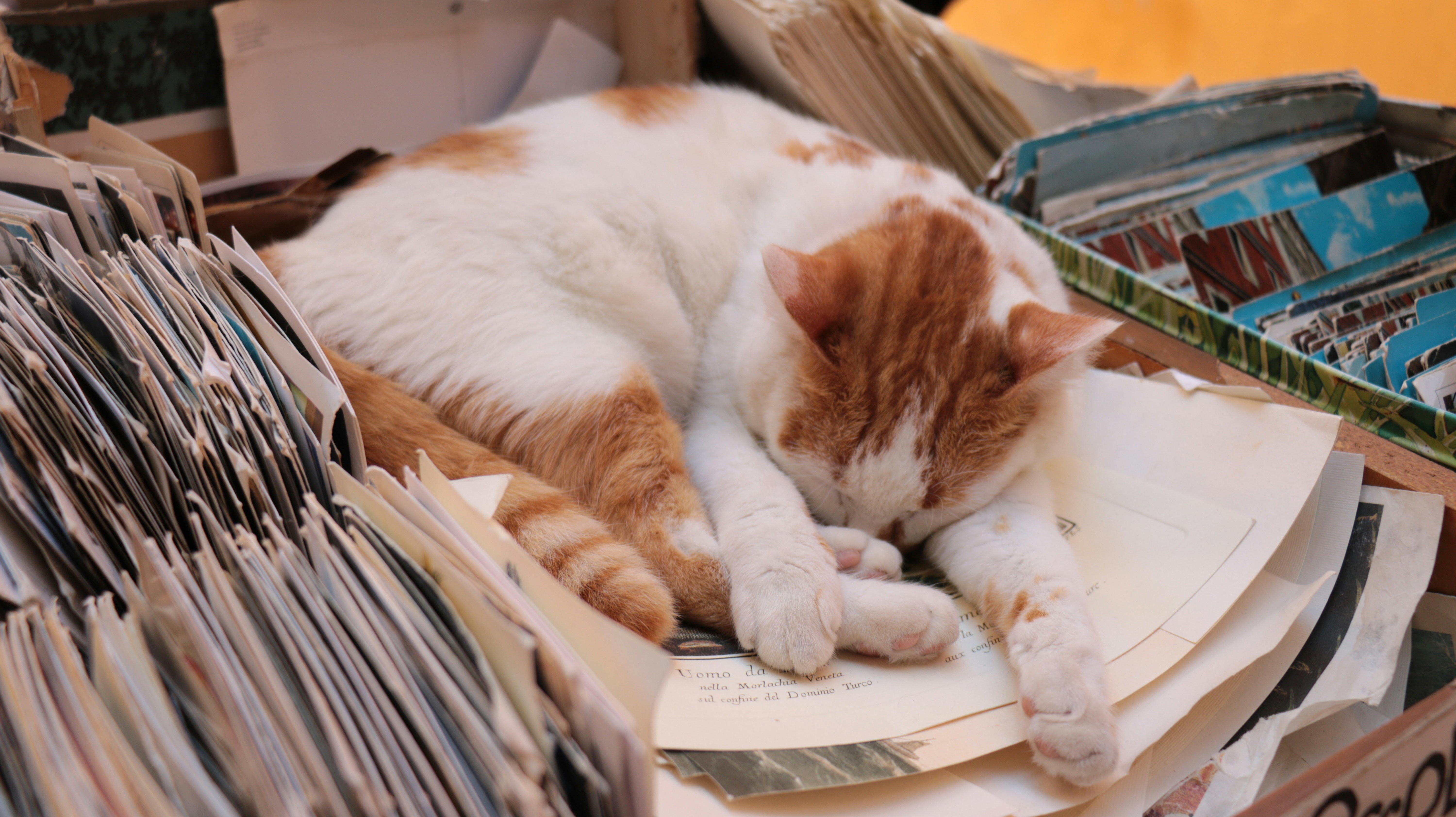 The Learning Trap: Breaking Free from Knowledge Addiction