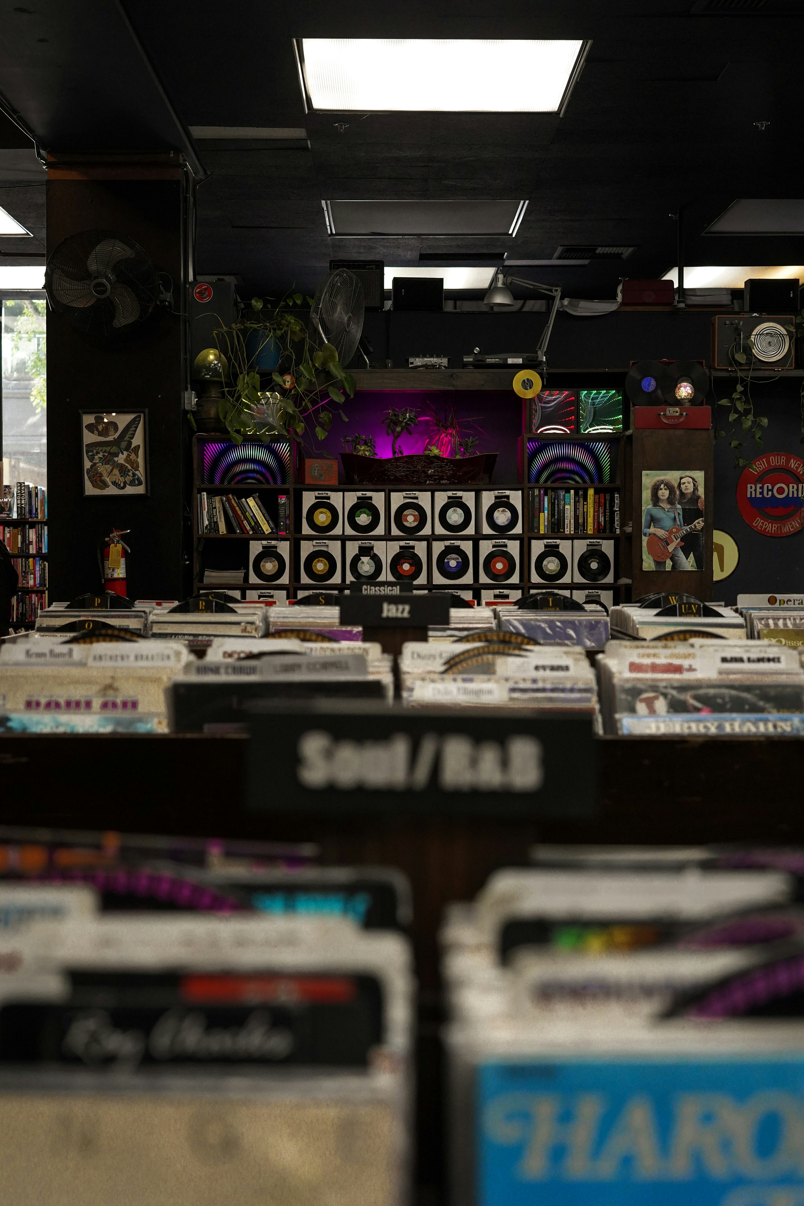 A room filled with lots of different types of records photo – Free Los ...