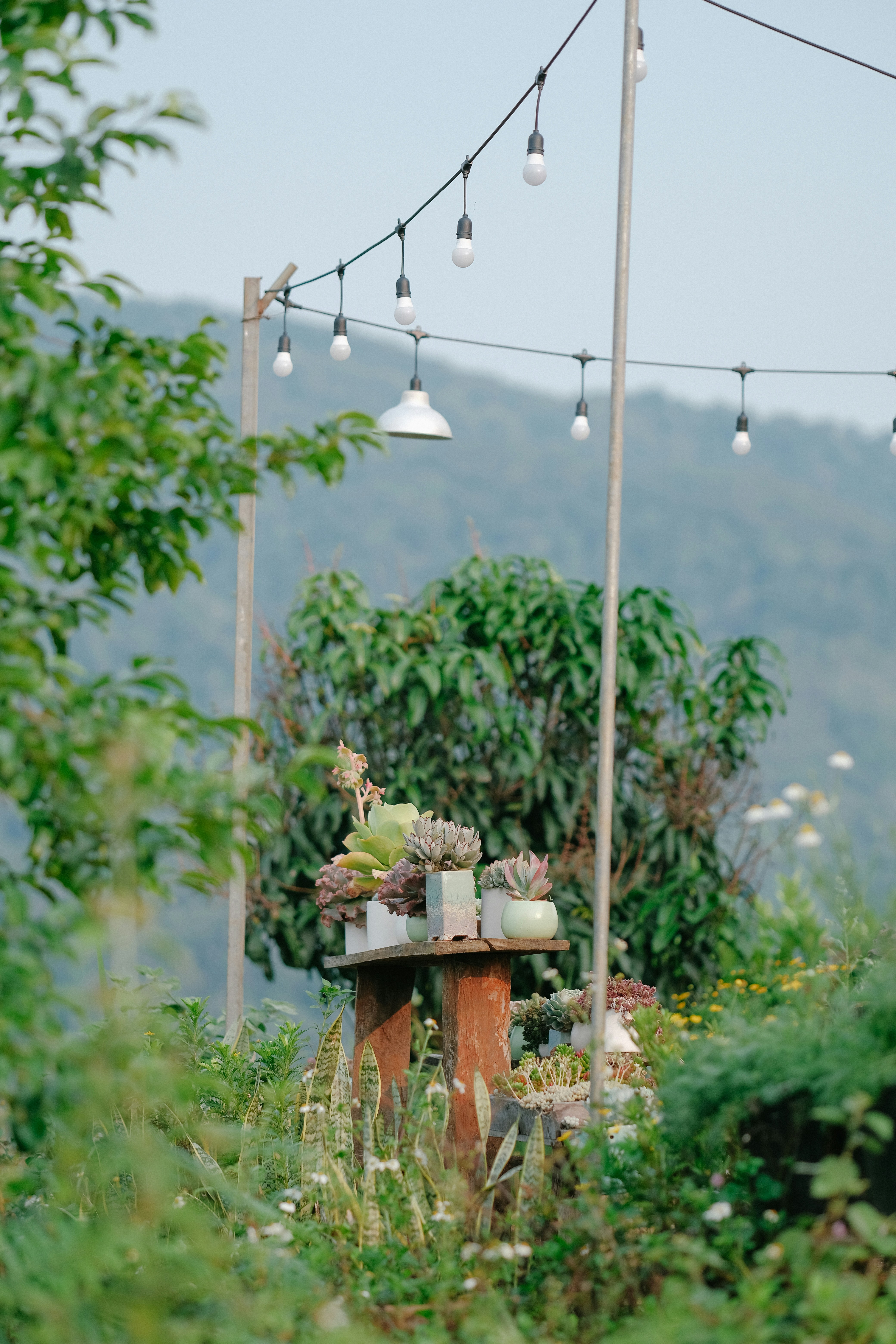 Photo by Pew Nguyen with Fujifilm X-T30