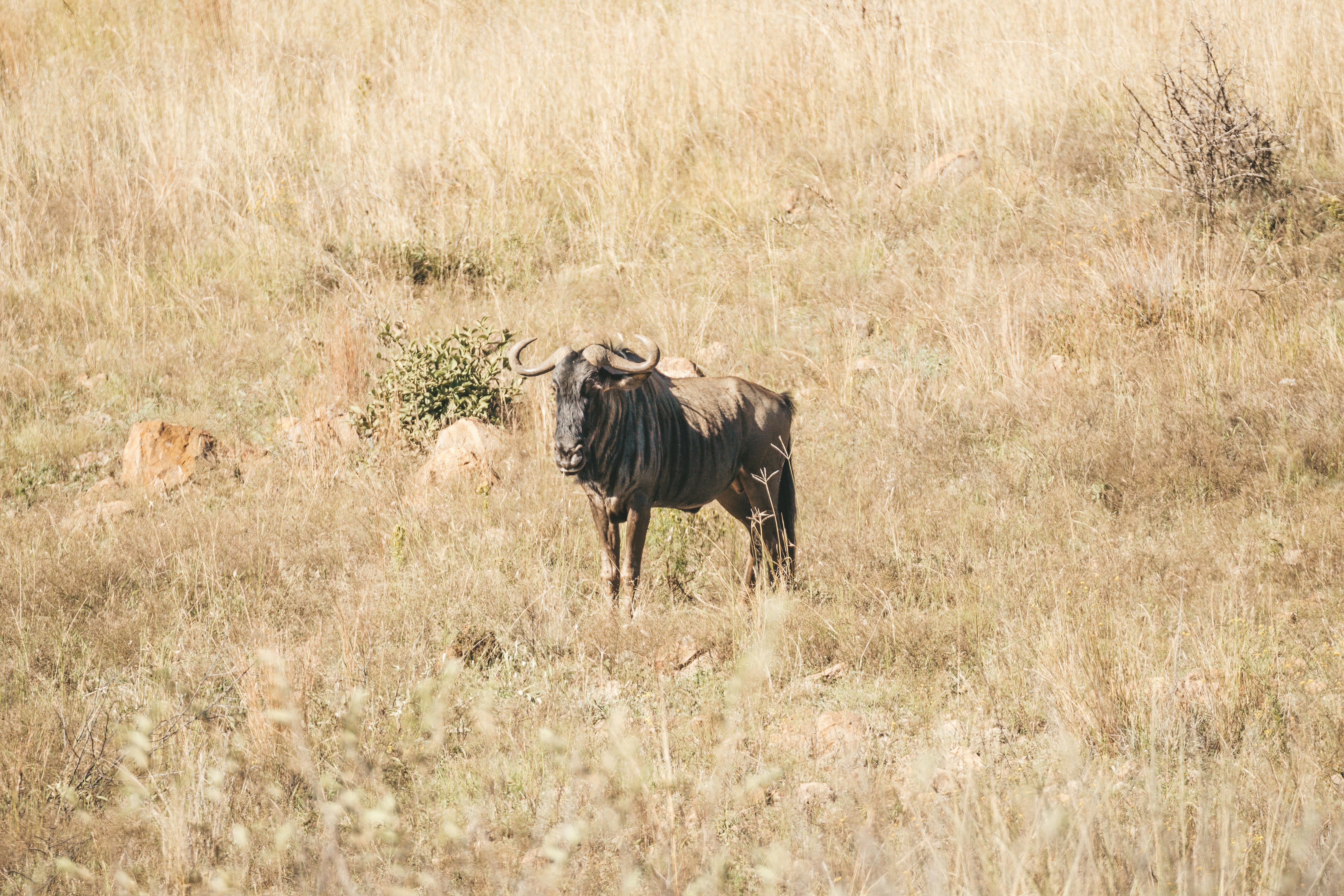 Photo by Filiz Elaerts with Sony Alpha 6000