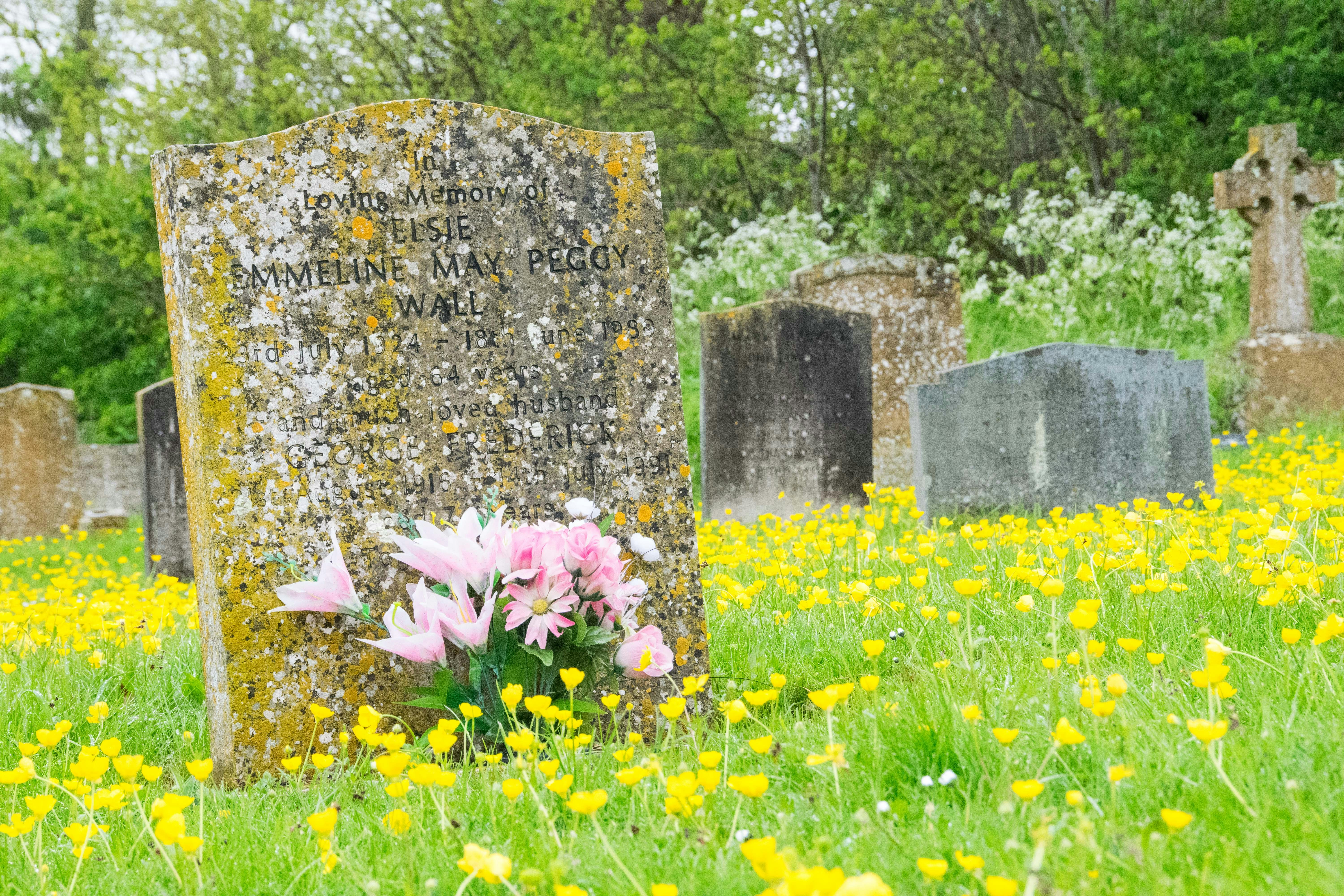 Daffodils at a Weathered Grave: A Quiet Cemetery in Bloom