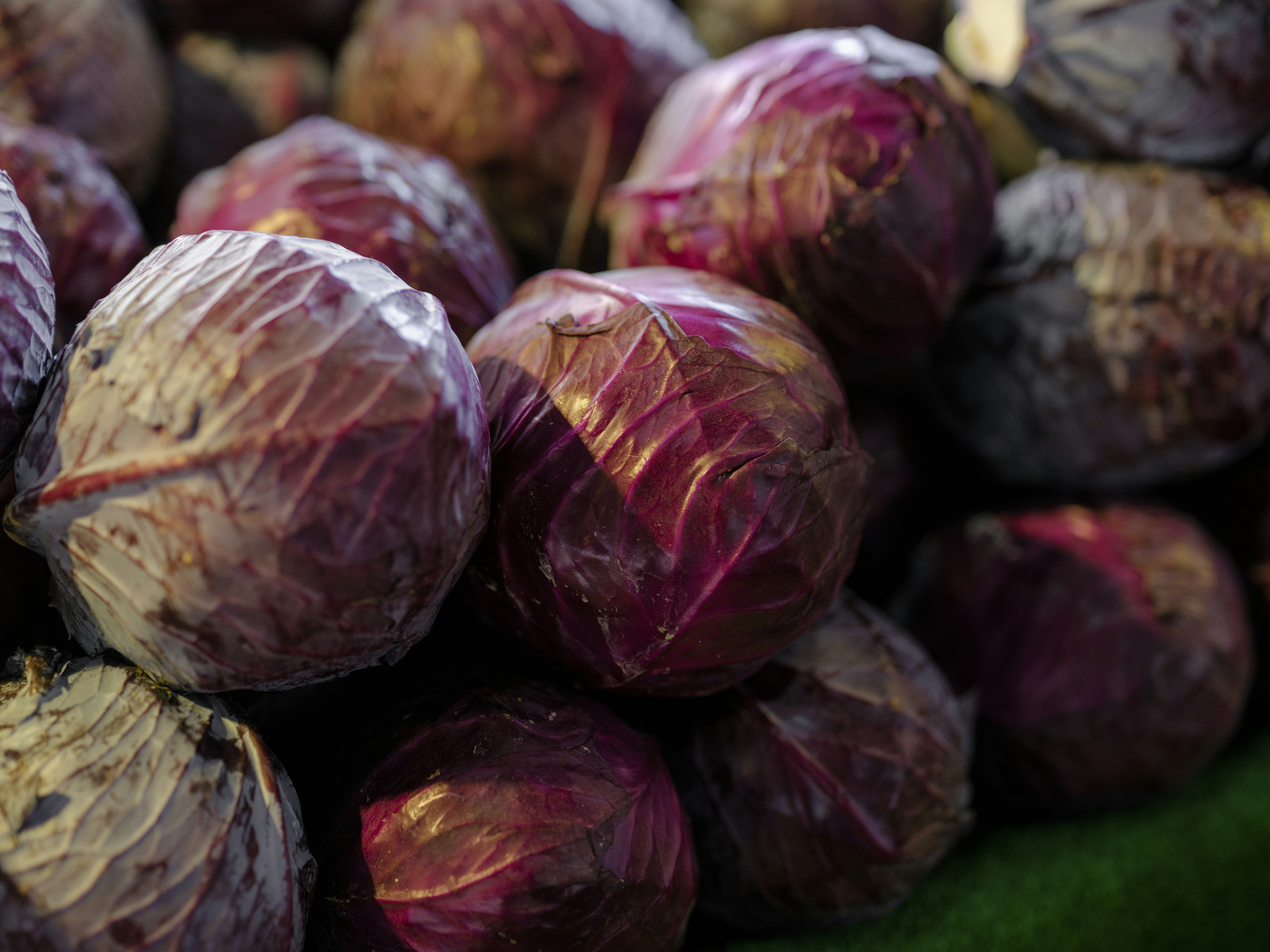 Harvest Harmony: The Art of Red Cabbage