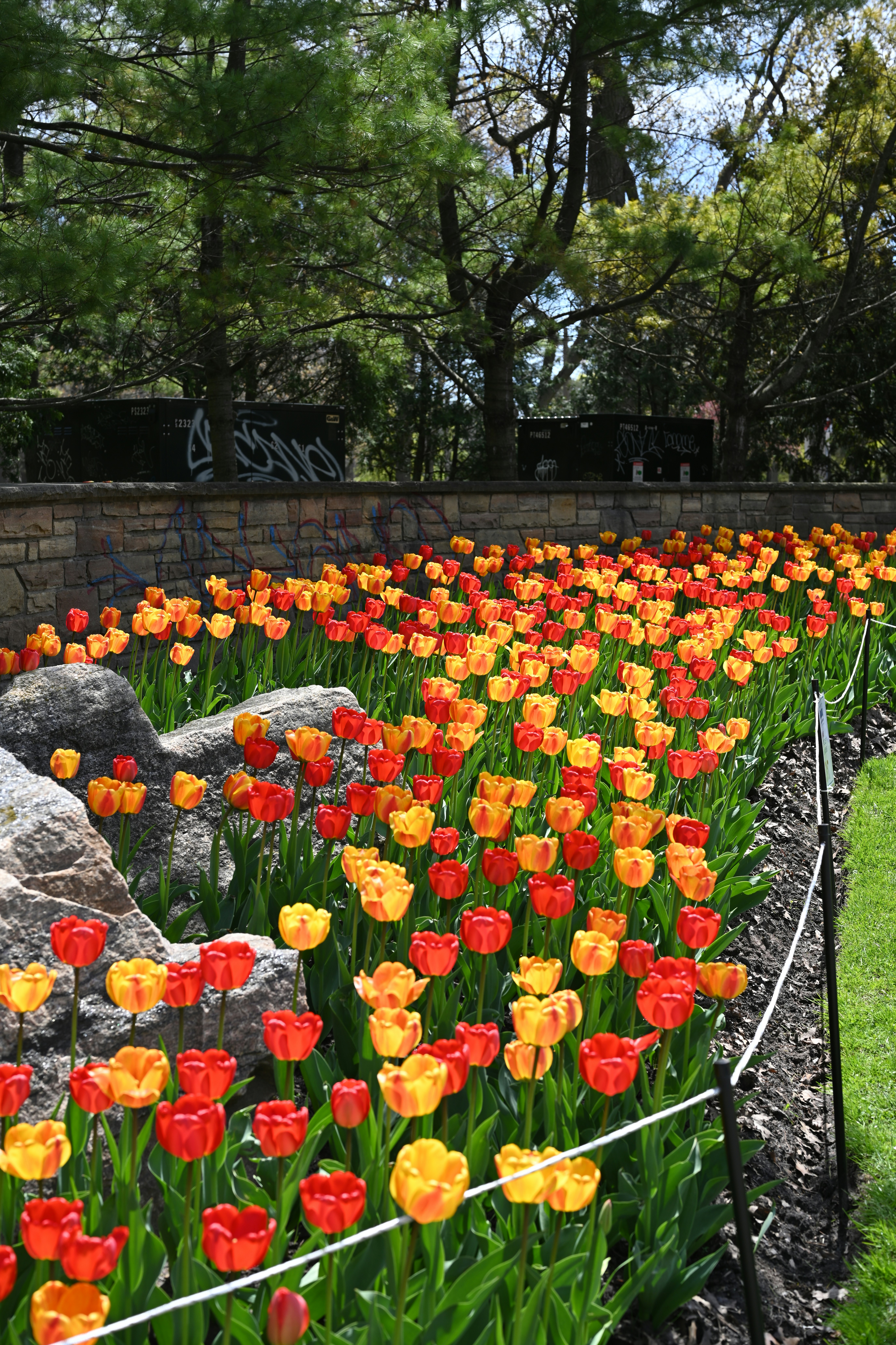 Row of flowers at the entrance to High Park in Toronto, Canada, on May 6, 2023.